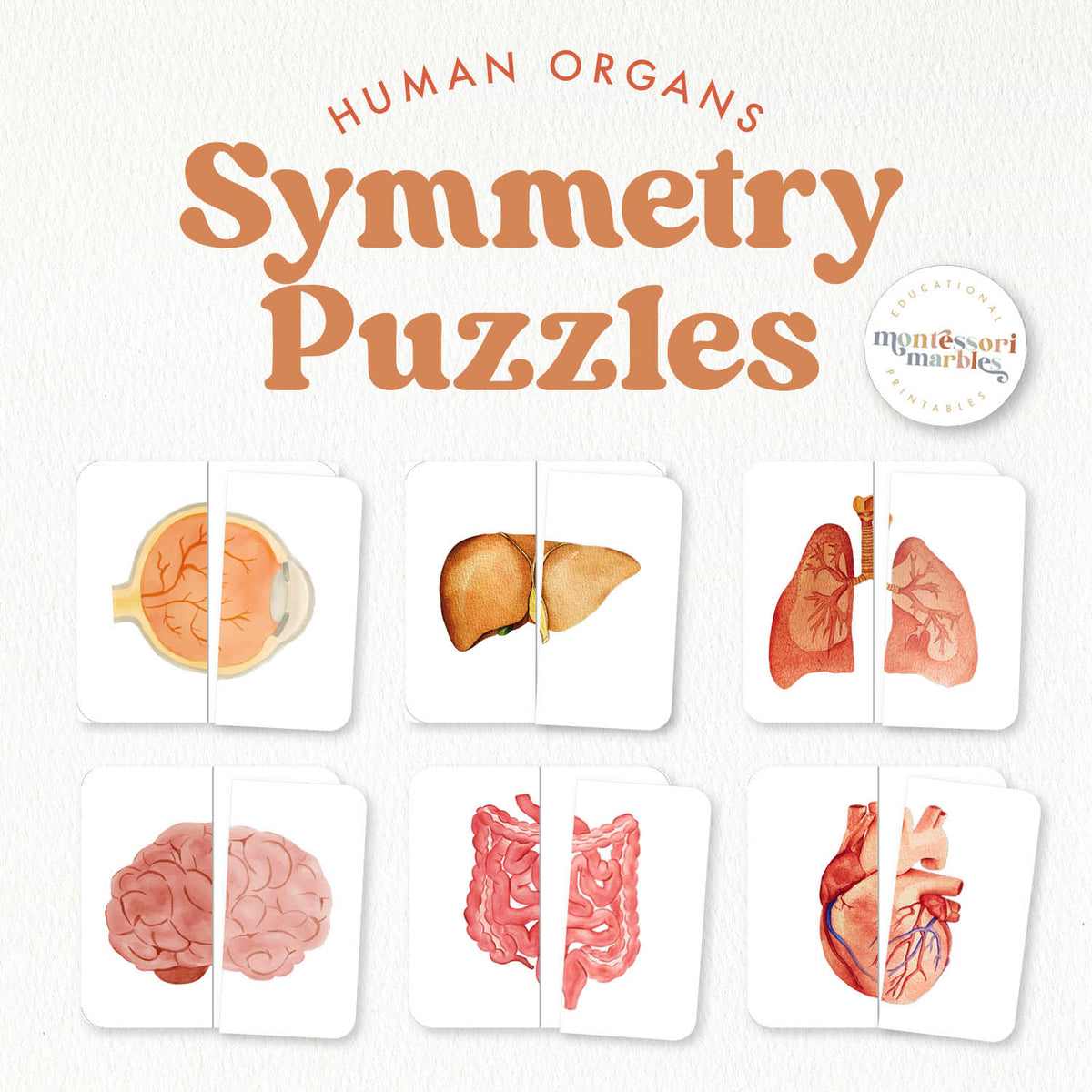 Human Organs Two-Piece Puzzles | 8 Sets Two-Piece Anatomy Game Ages 3-6 ...