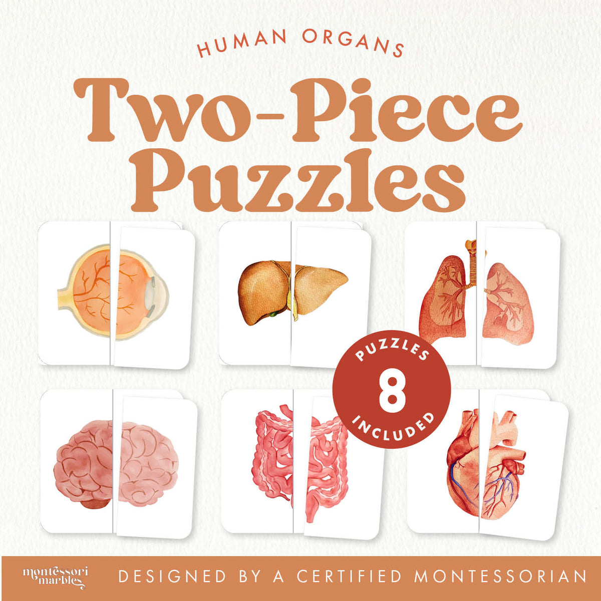 Human Organs Two-Piece Puzzles | 8 Sets Two-Piece Anatomy Game Ages 3-6 ...
