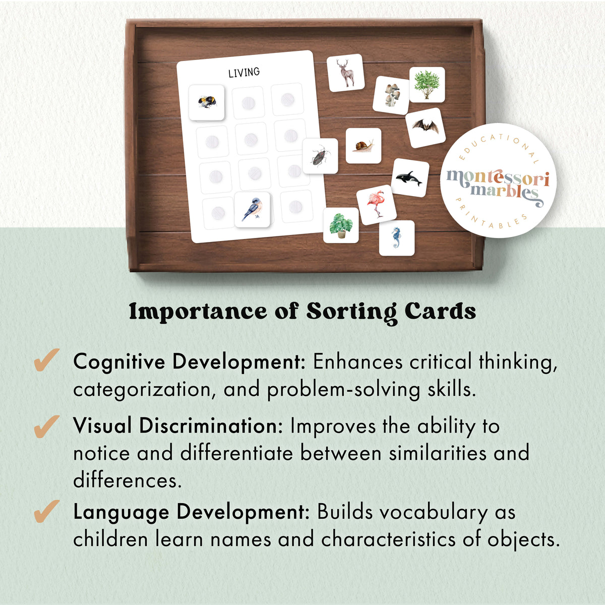Living and Non Living Sorting Cards – Montessori Marbles