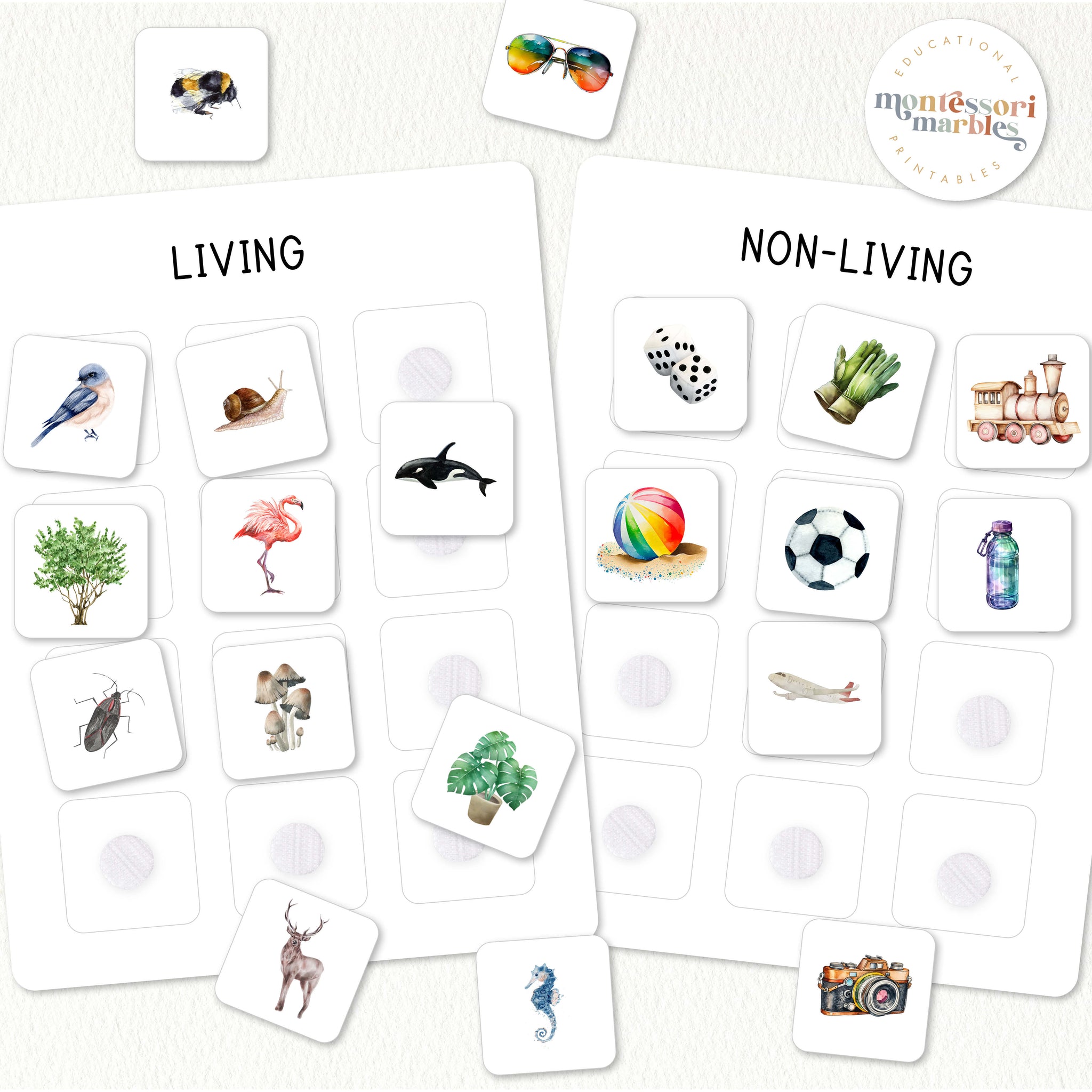 Living and Non Living Sorting Cards – Montessori Marbles
