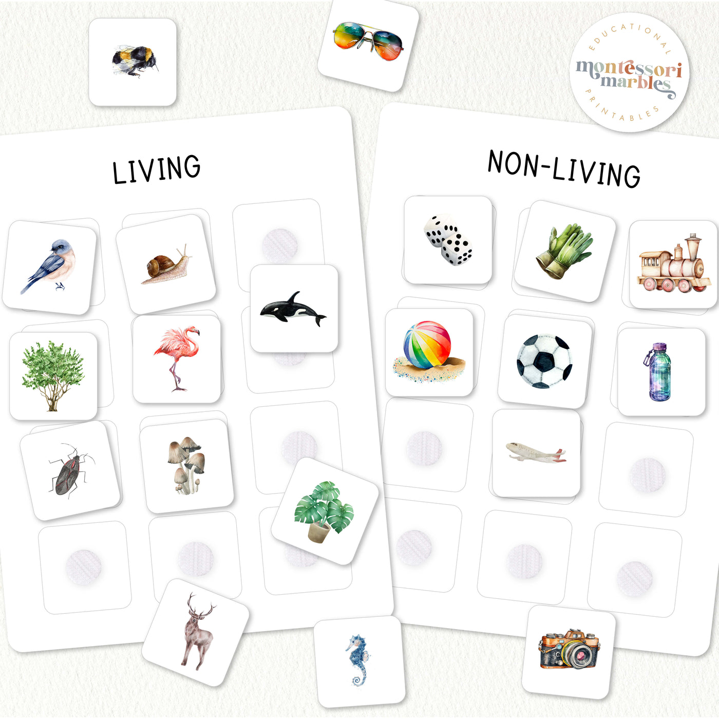 Living and Non Living Sorting Cards | 24 Science Classification Ages 3 ...