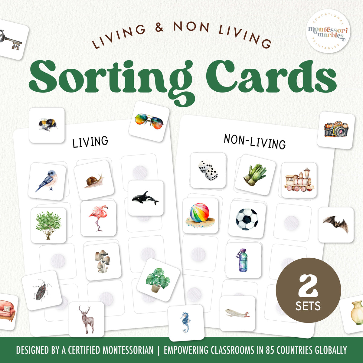 Living and Non Living Sorting Cards — Montessori Marbles