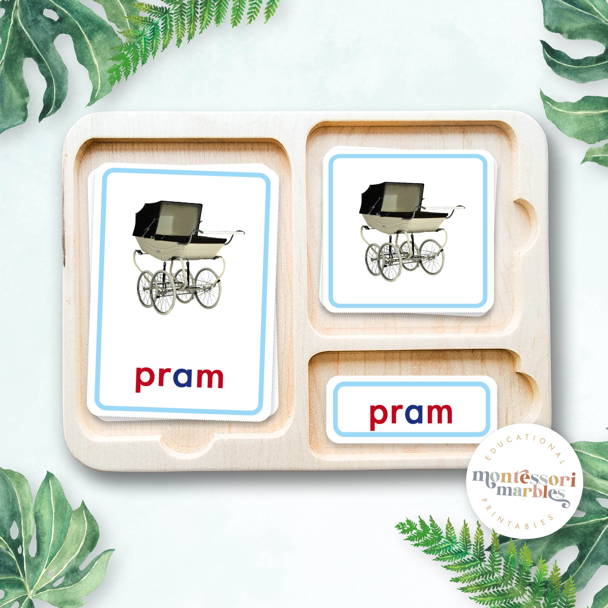 Blue Series 3-Part Cards | Phonics Activities Ages 5-7 — Montessori Marbles