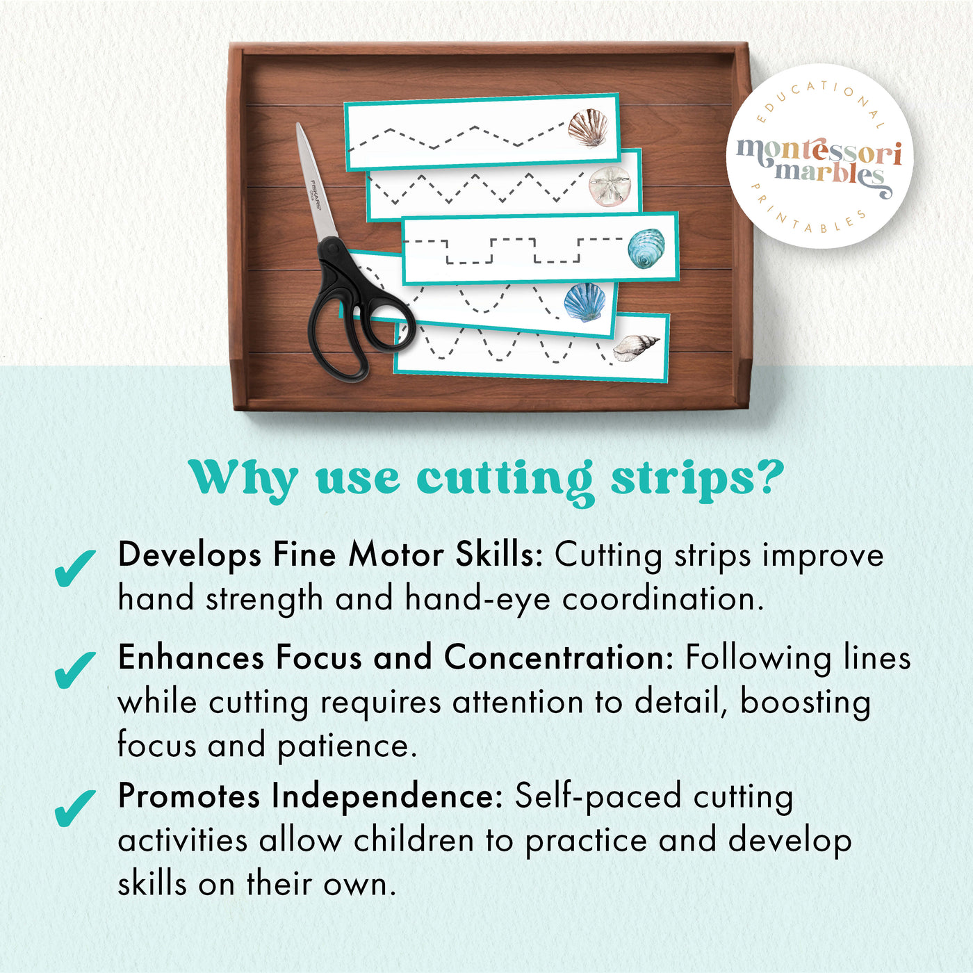 Seashells Cutting Strips | Scissor Practice Ages 2-5 Fine Motor Skills ...
