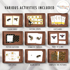 Bee Honey Activity Bundle | 10 Printables Insect Study Ages 3-6 PDF ...
