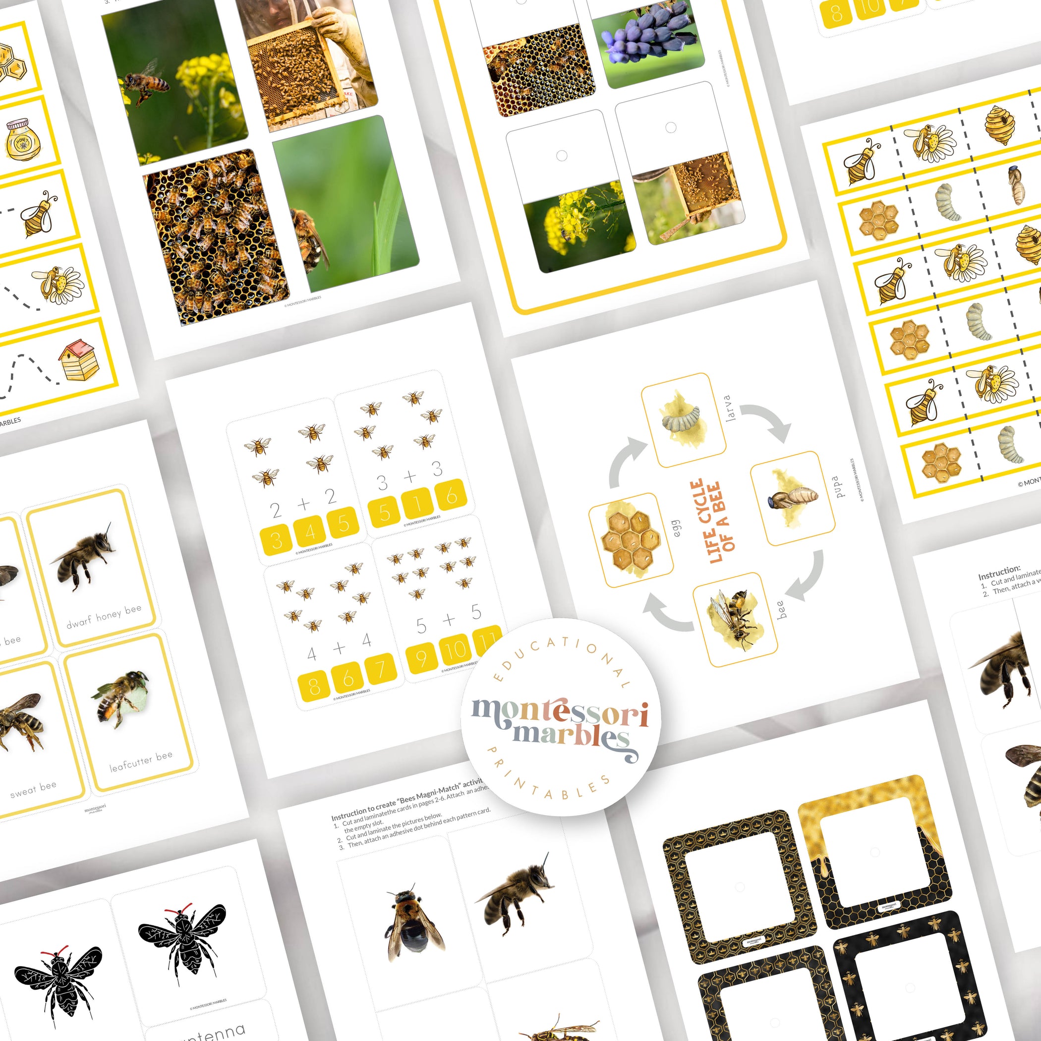 Bee Honey Activity Bundle | 10 Printables Insect Study Ages 3-6 PDF ...