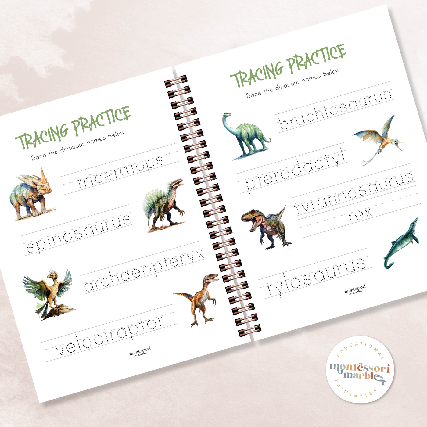 Dinosaurs Mini Bundle | 3 Activities Flash Cards Cutting Workbook 3-6 ...