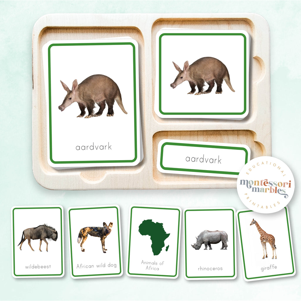 Safari Animals — Montessori Marbles
