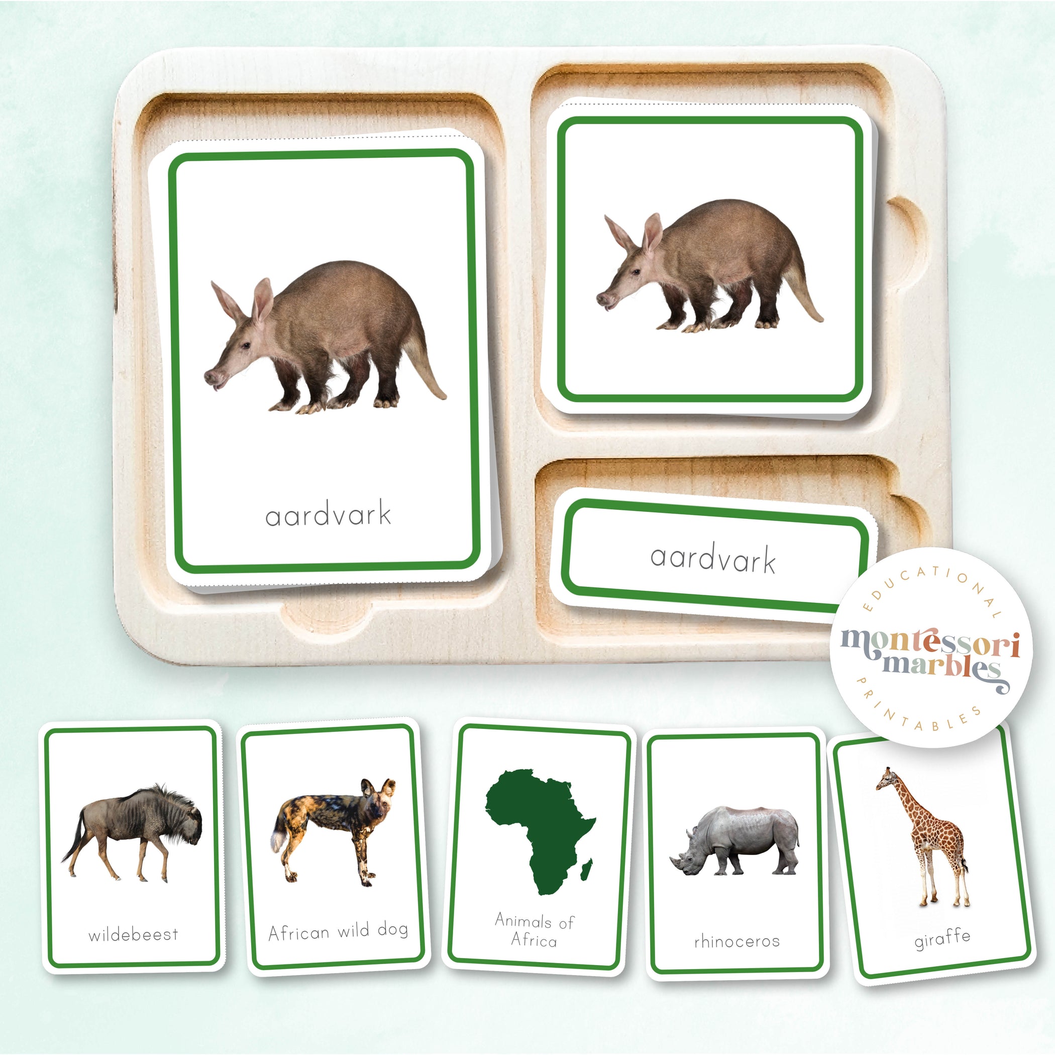 Animals of Africa Nomenclature Cards | Safari Wildlife Ages 4-8 PDF ...