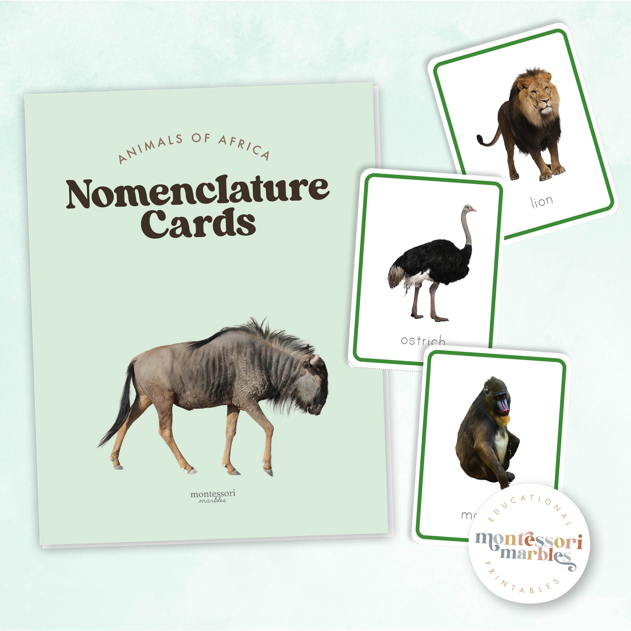 Animals of Africa Nomenclature Cards | Safari Wildlife Ages 4-8 PDF ...