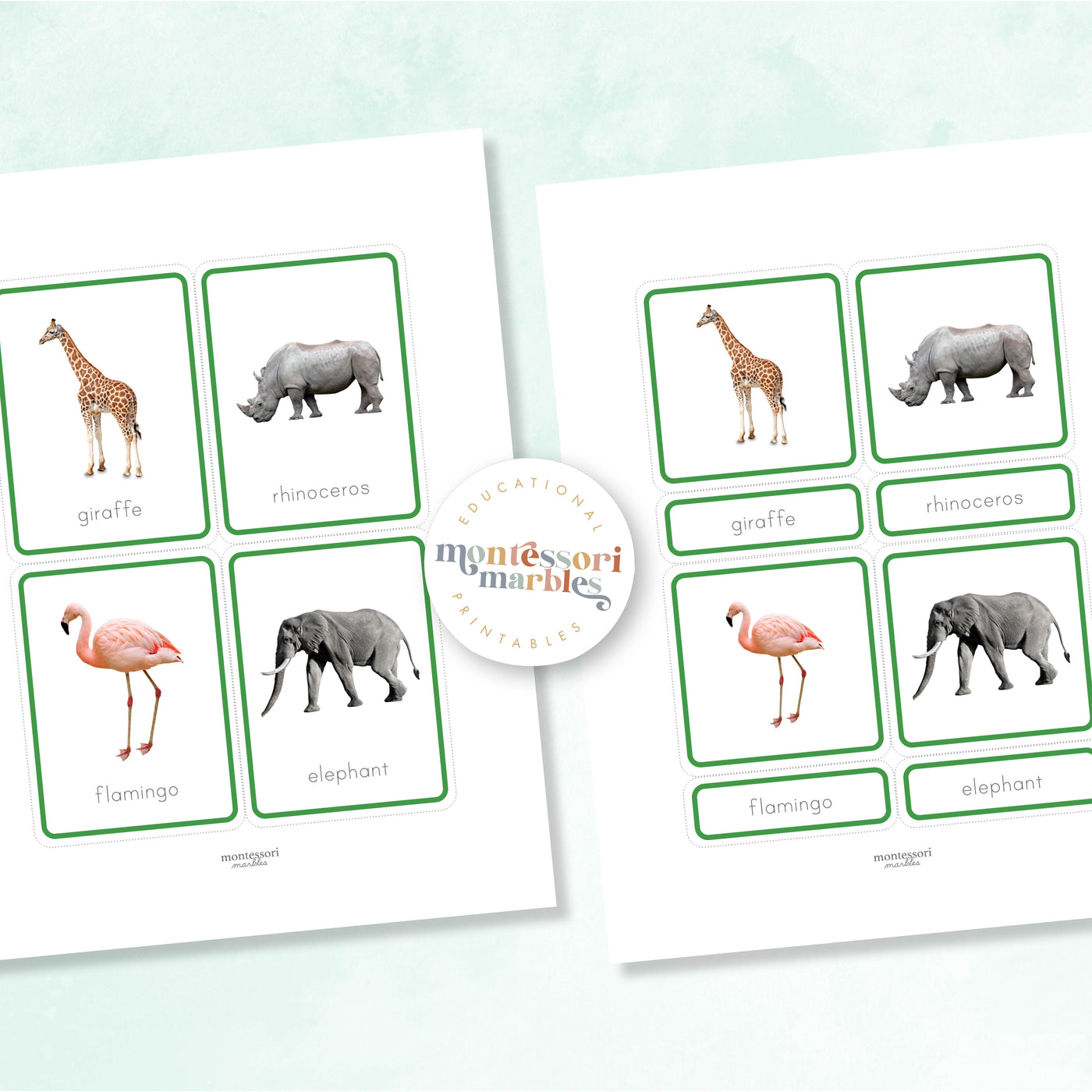 Animals of Africa Nomenclature Cards | Safari Wildlife Ages 4-8 PDF ...