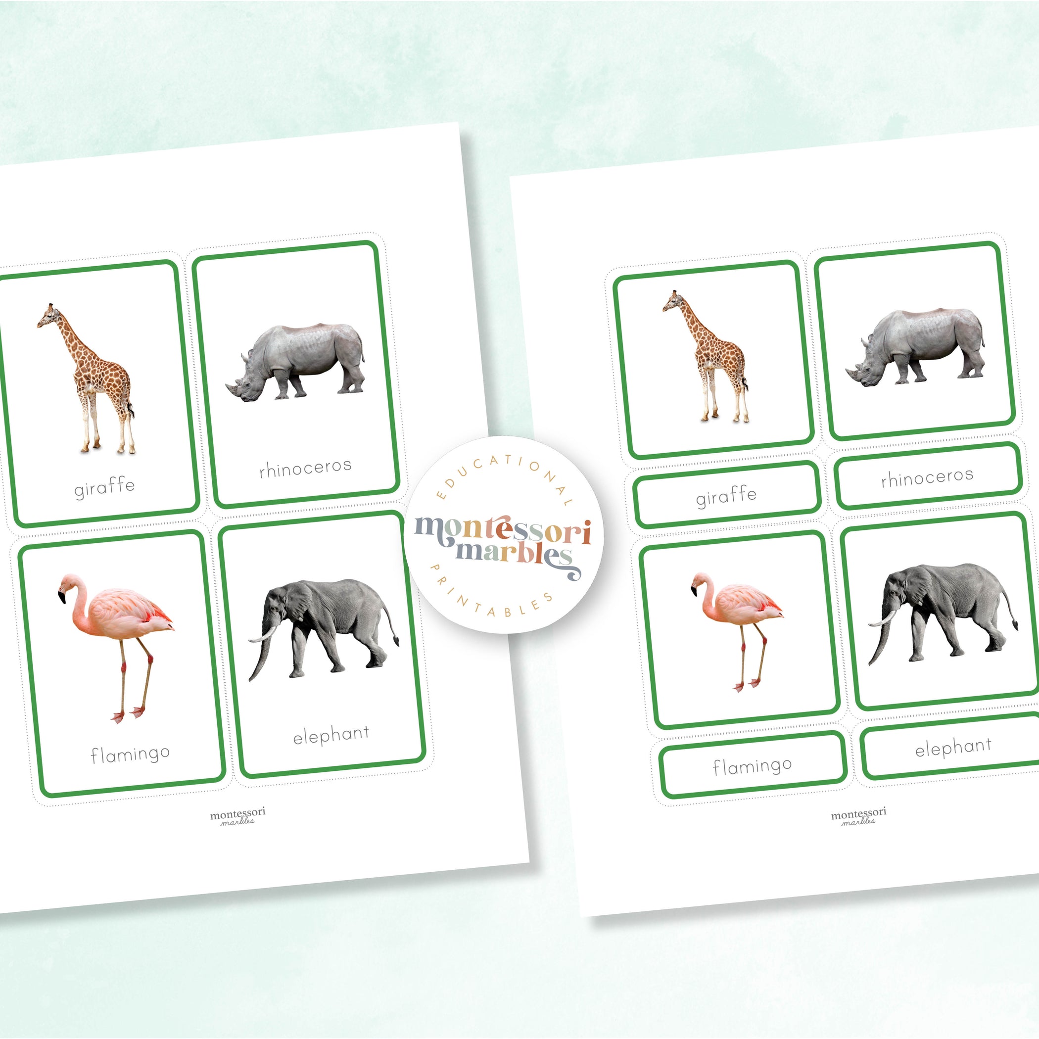 Animals of Africa Nomenclature Cards | Safari Wildlife Ages 4-8 PDF ...