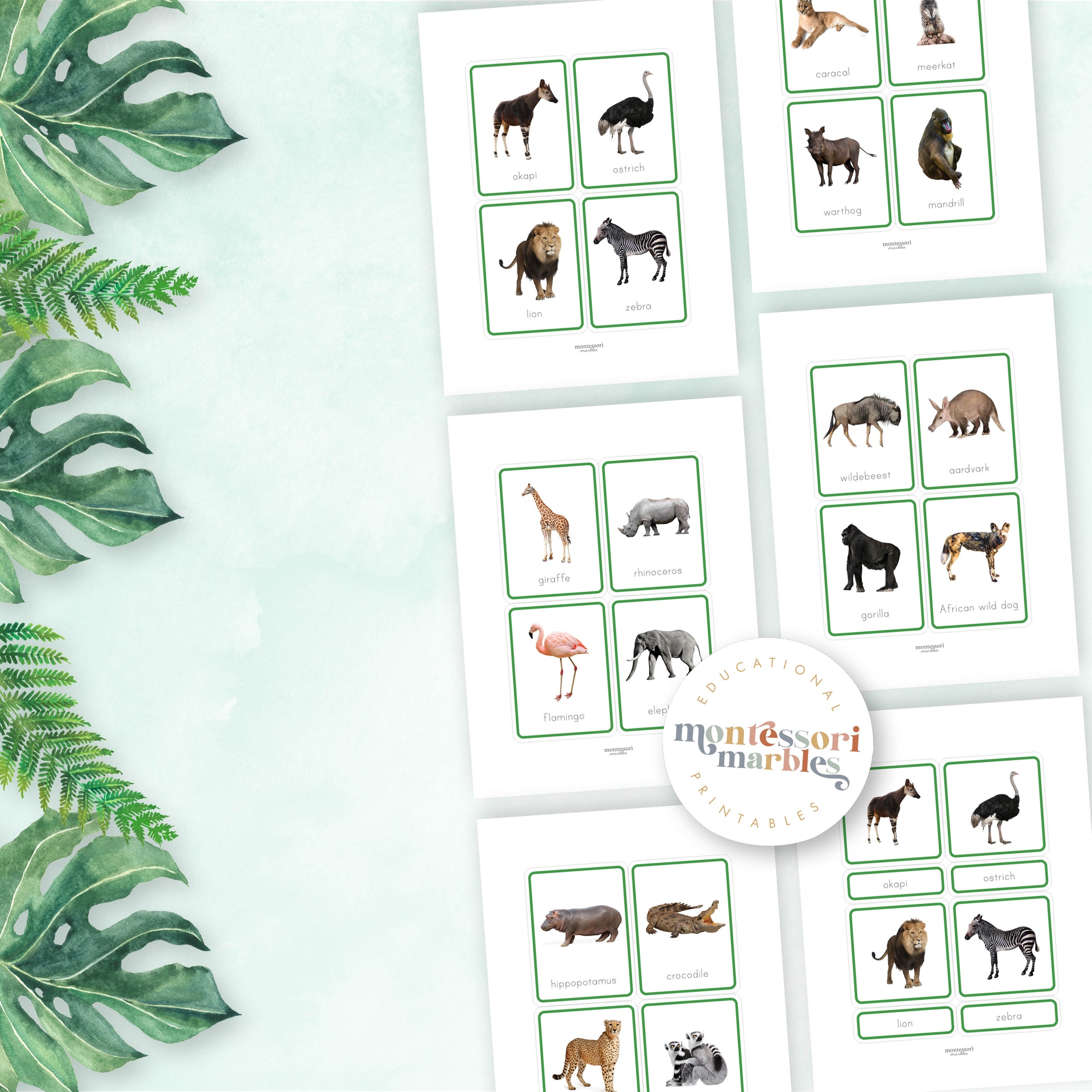 Animals of Africa Nomenclature Cards | Safari Wildlife Ages 4-8 PDF ...