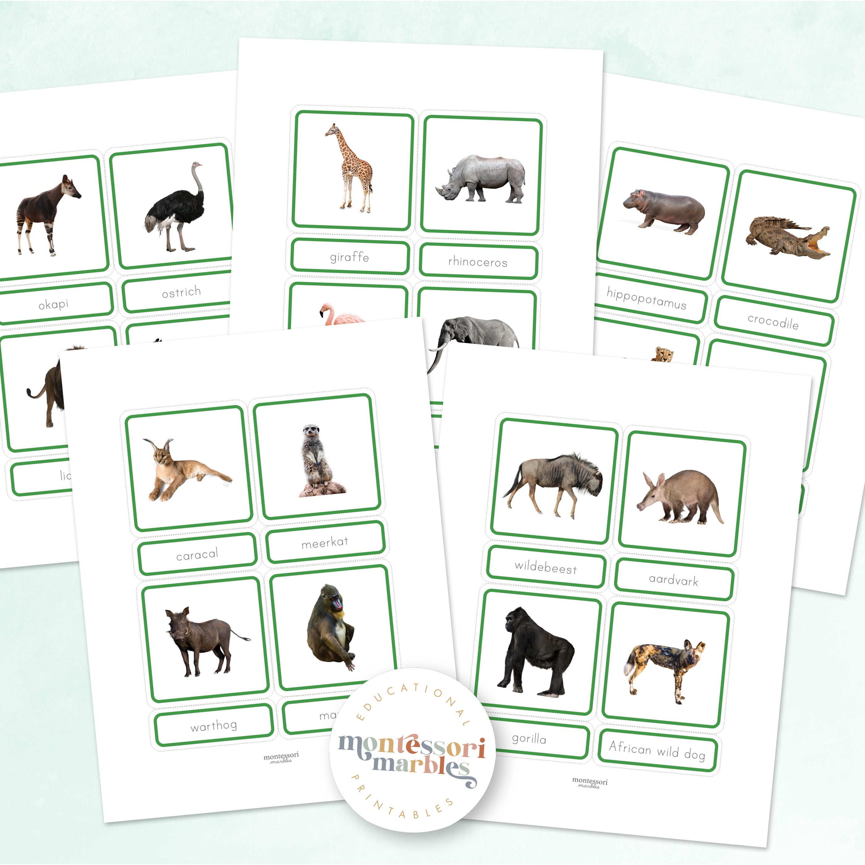 Animals of Africa Nomenclature Cards | Safari Wildlife Ages 4-8 PDF ...