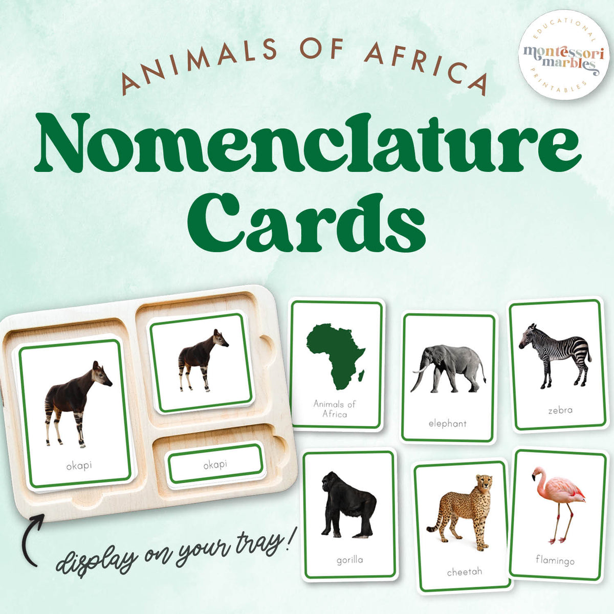Animals of Africa Nomenclature Cards | Safari Wildlife Ages 4-8 PDF ...