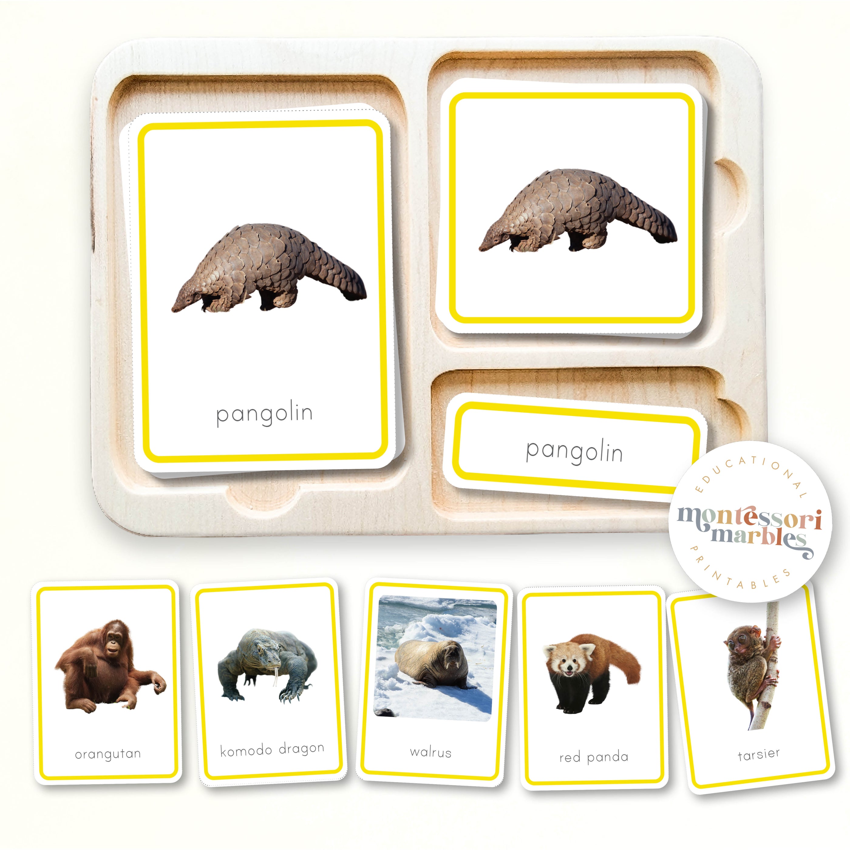 Safari Animals Flash Cards | Montessori Inspired Printables ...