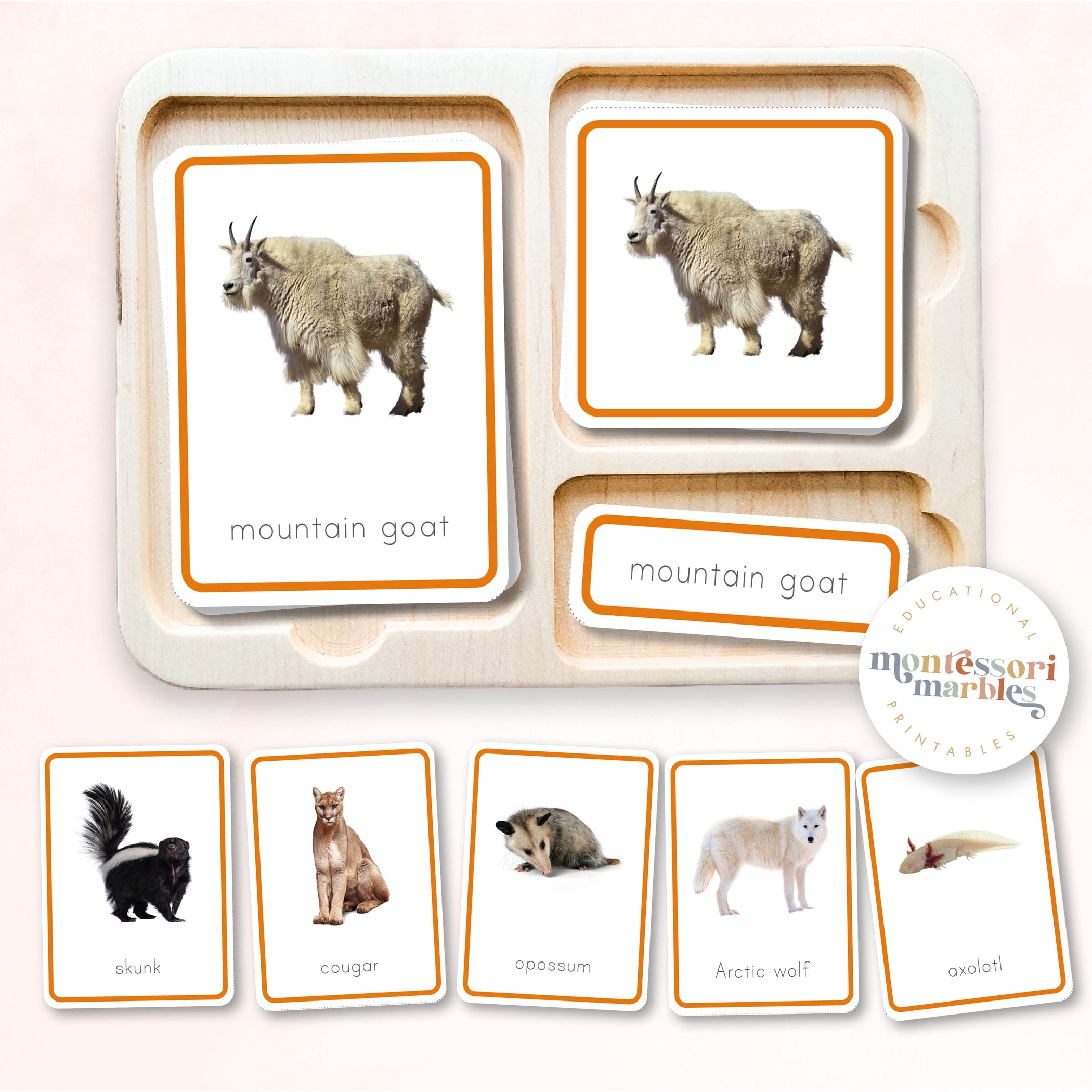 Animals North America Nomenclature Cards | Wildlife 3-Part Ages 4-8 PDF ...