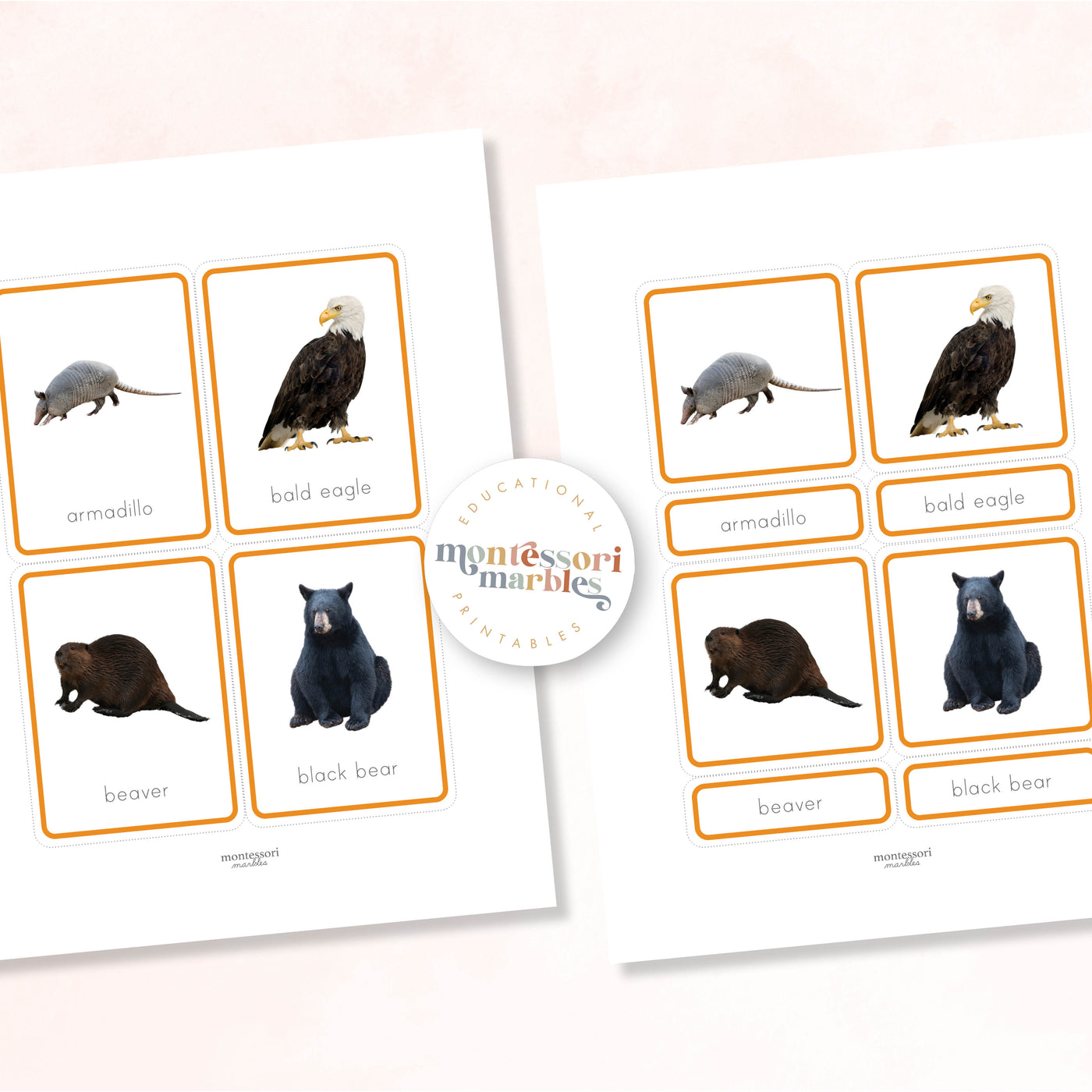 Animals North America Nomenclature Cards | Wildlife 3-Part Ages 4-8 PDF ...