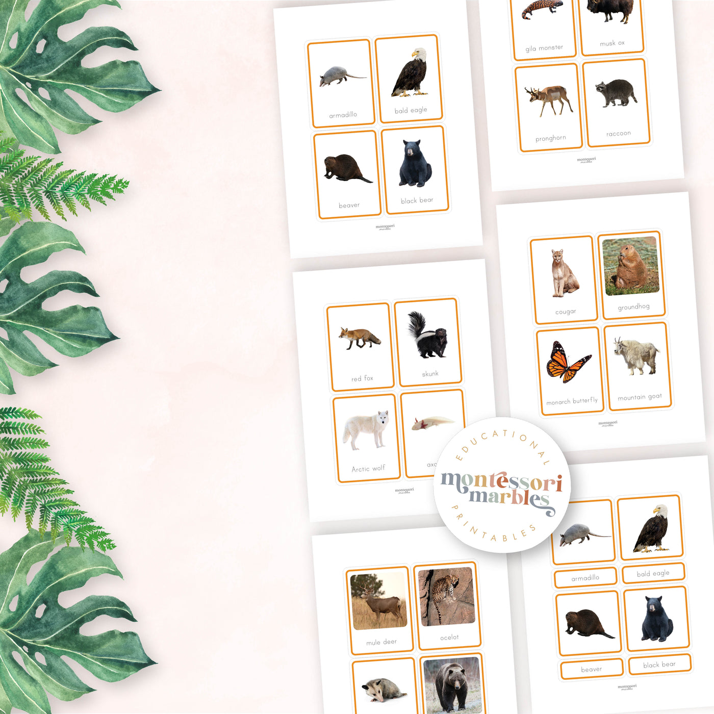 Animals North America Nomenclature Cards | Wildlife 3-Part Ages 4-8 PDF ...