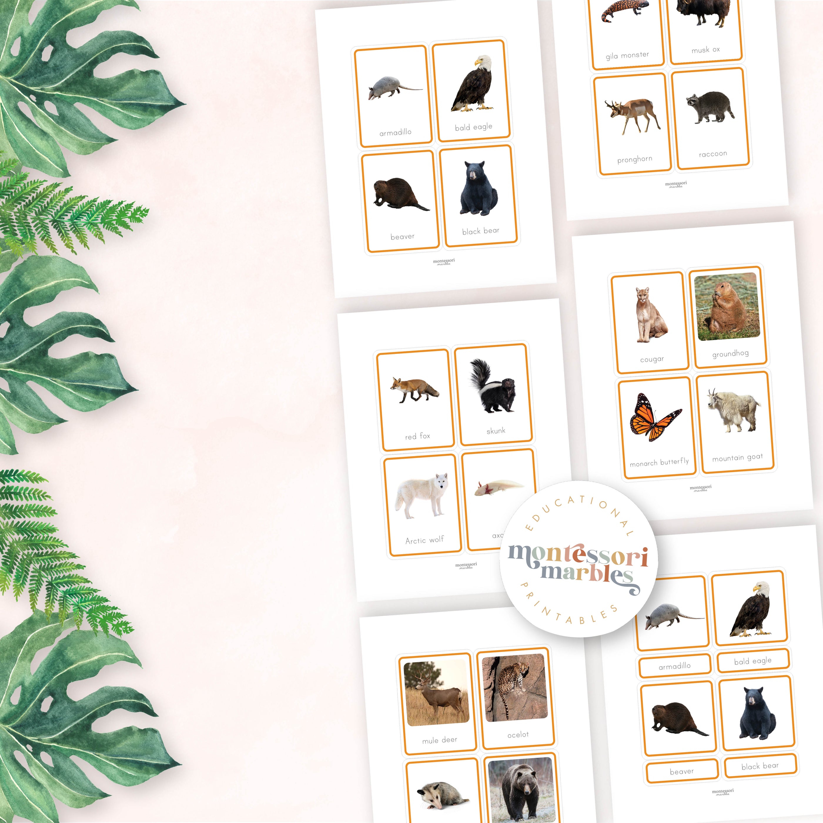 Animals North America Nomenclature Cards | Wildlife 3-Part Ages 4-8 PDF ...