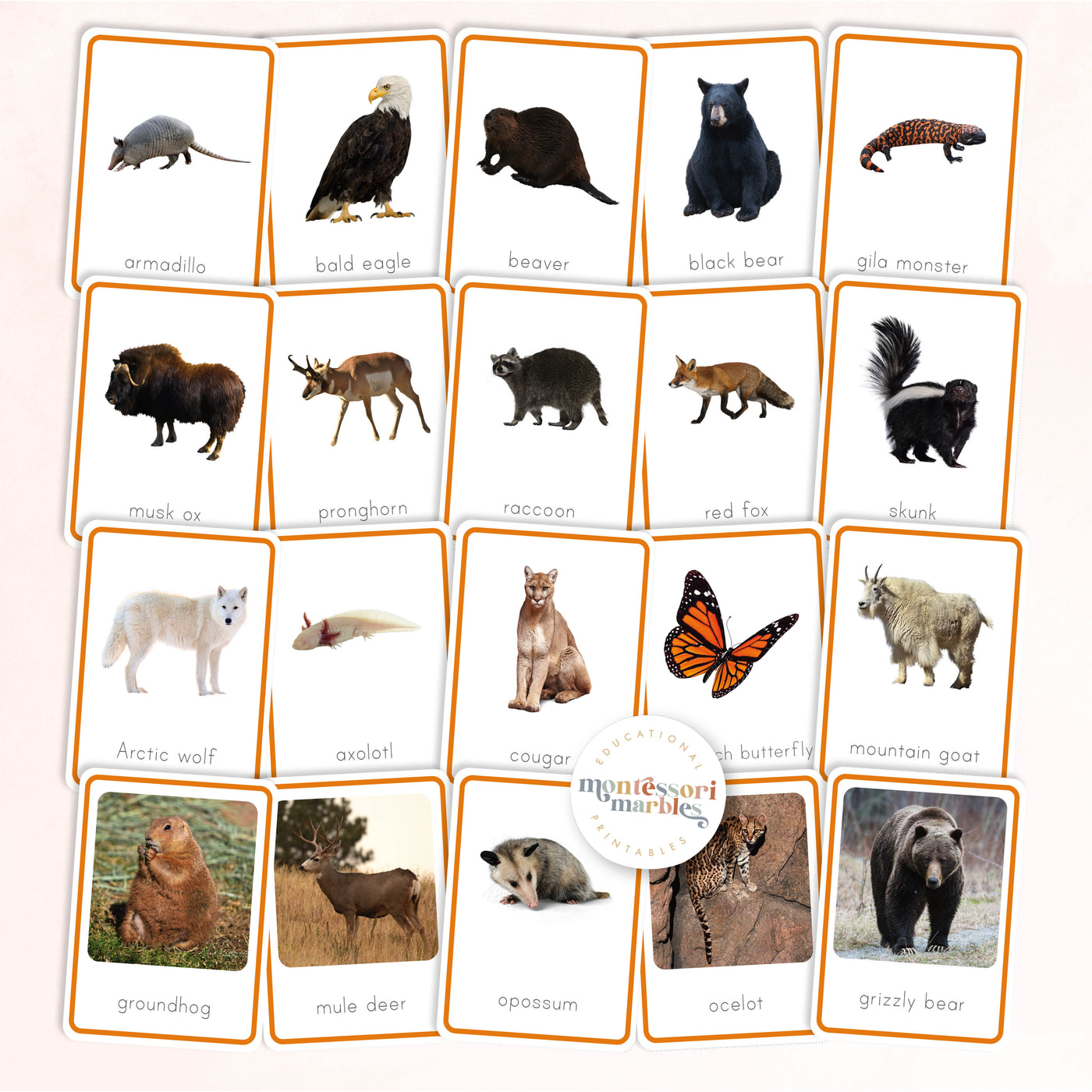 Animals North America Nomenclature Cards | Wildlife 3-Part Ages 4-8 PDF ...
