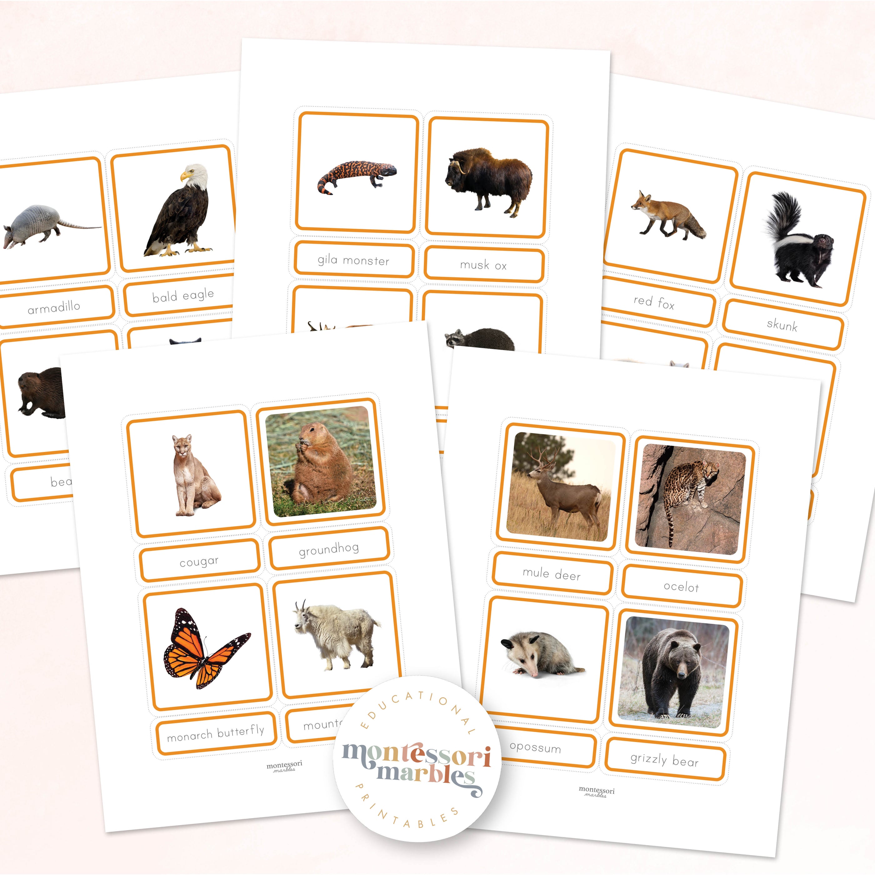 Animals North America Nomenclature Cards | Wildlife 3-Part Ages 4-8 PDF ...