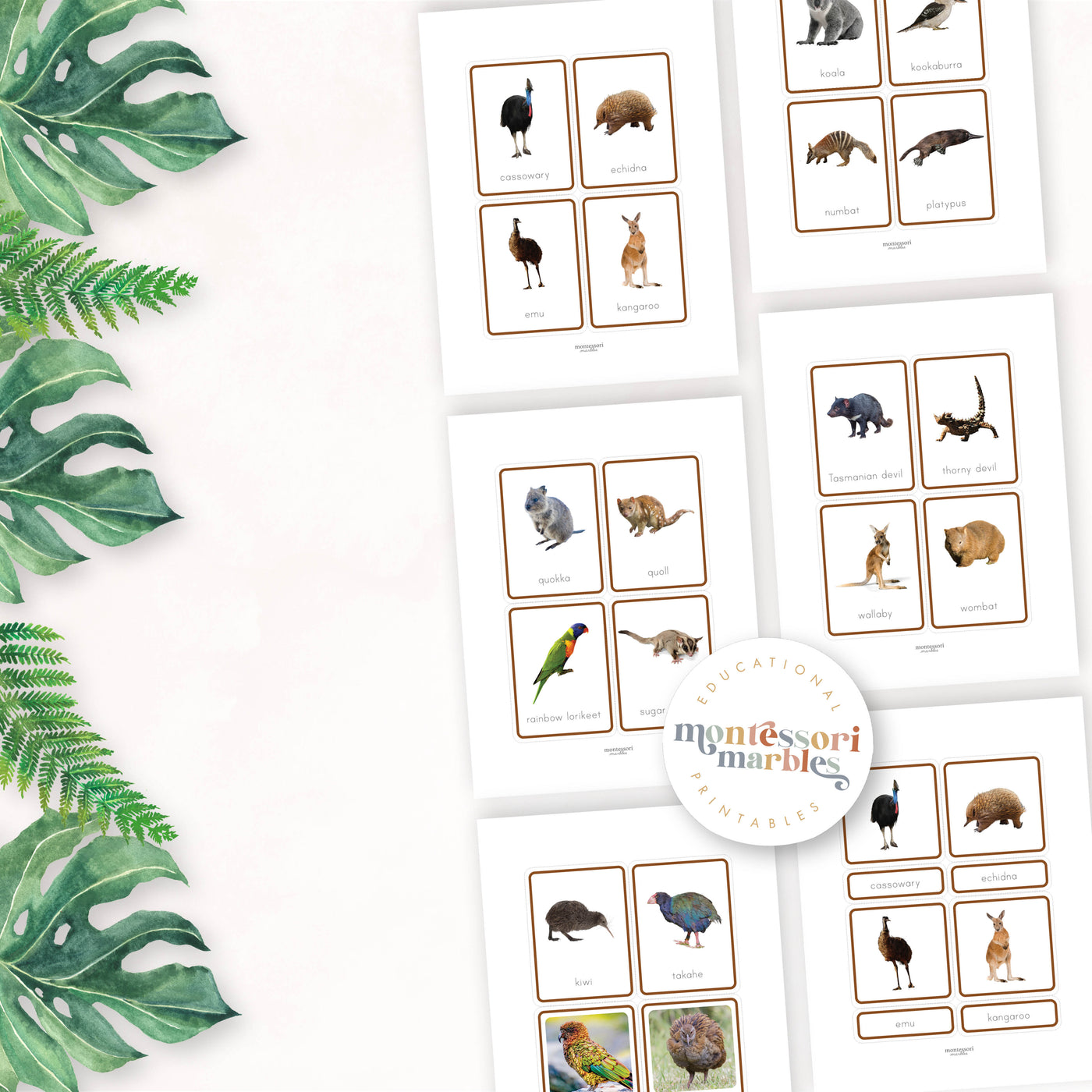 Animals Oceania Nomenclature Cards | Australian Wildlife Ages 4-8 PDF ...