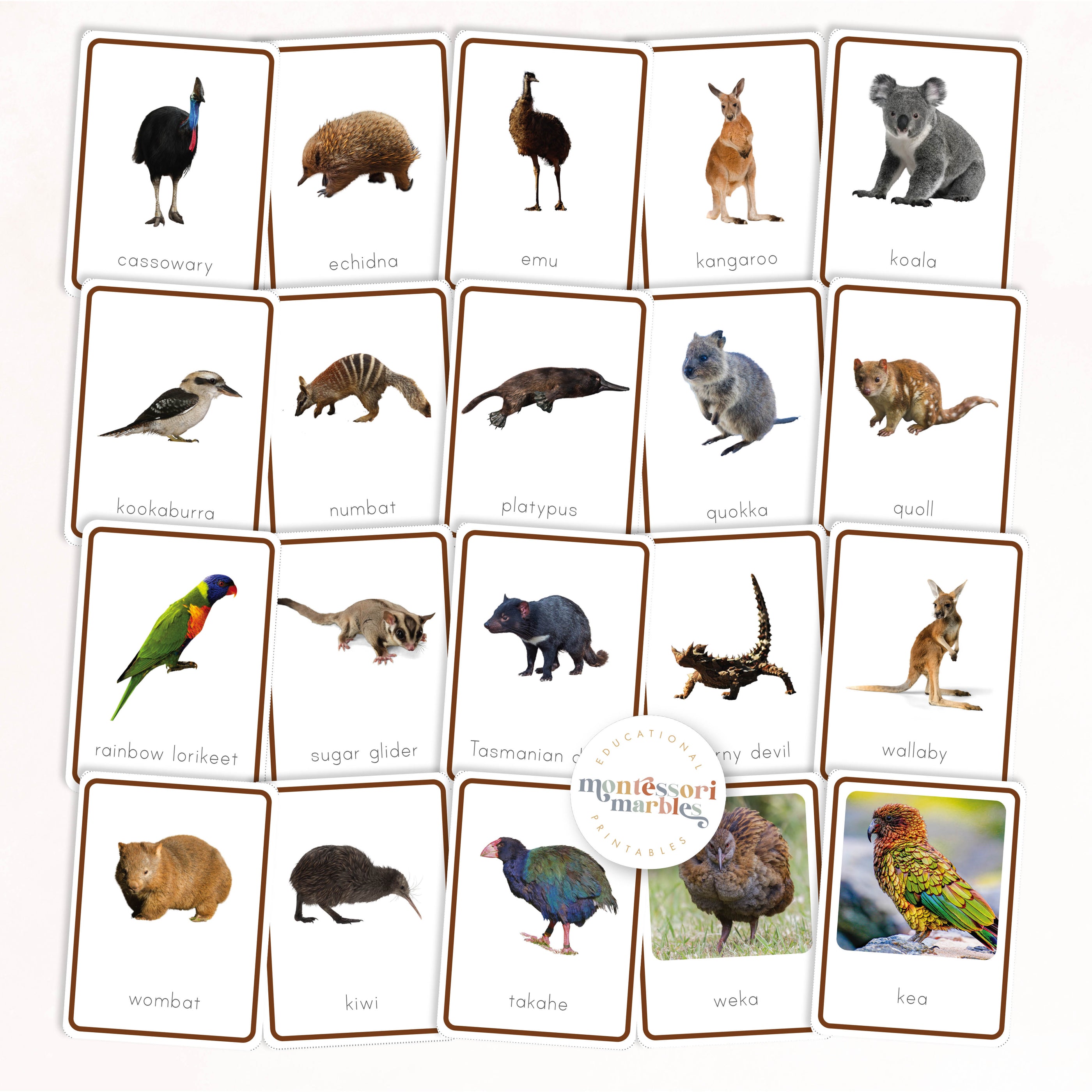 Animals Oceania Nomenclature Cards | Australian Wildlife Ages 4-8 PDF ...