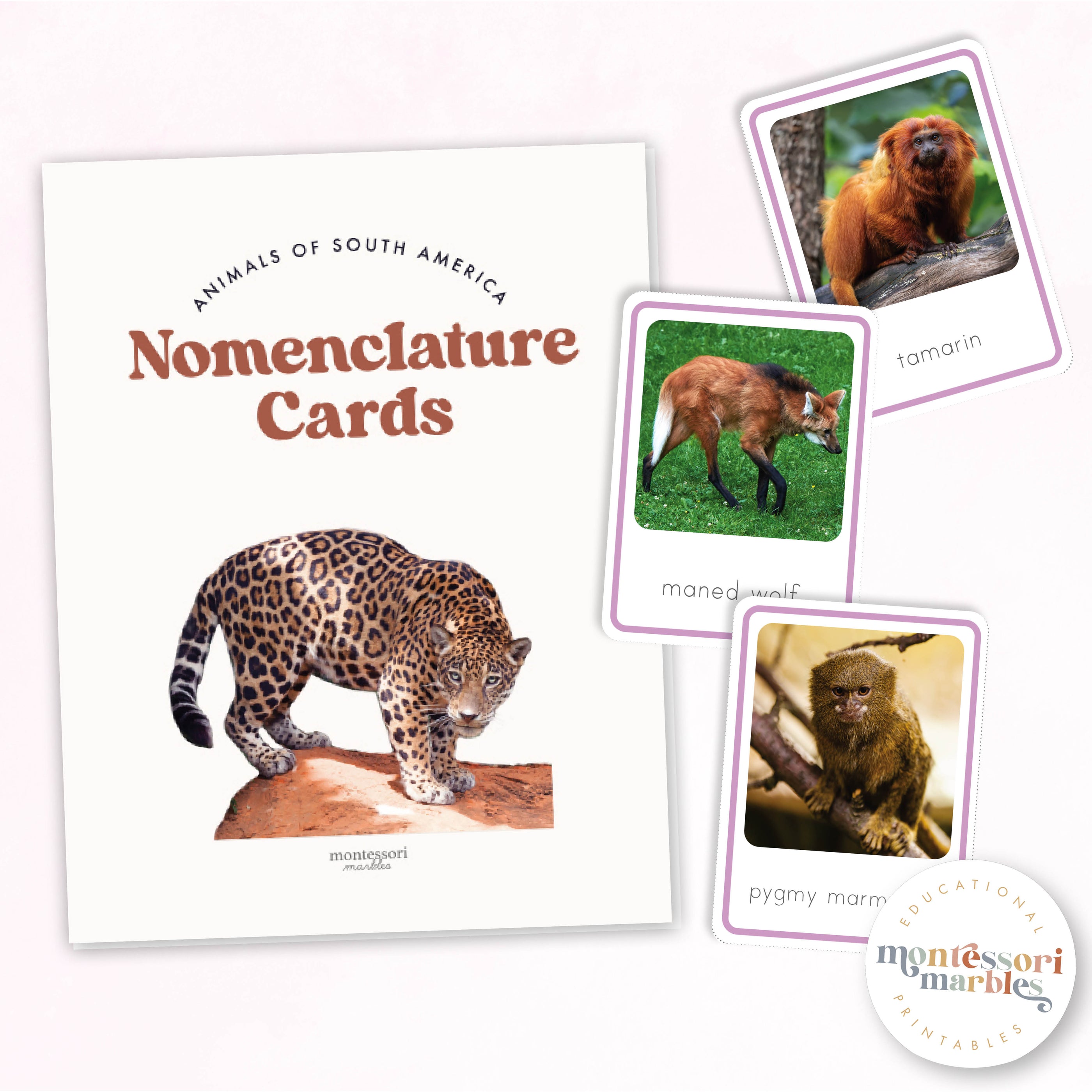 Animals South America Nomenclature Cards | Rainforest Ages 4-8 PDF ...