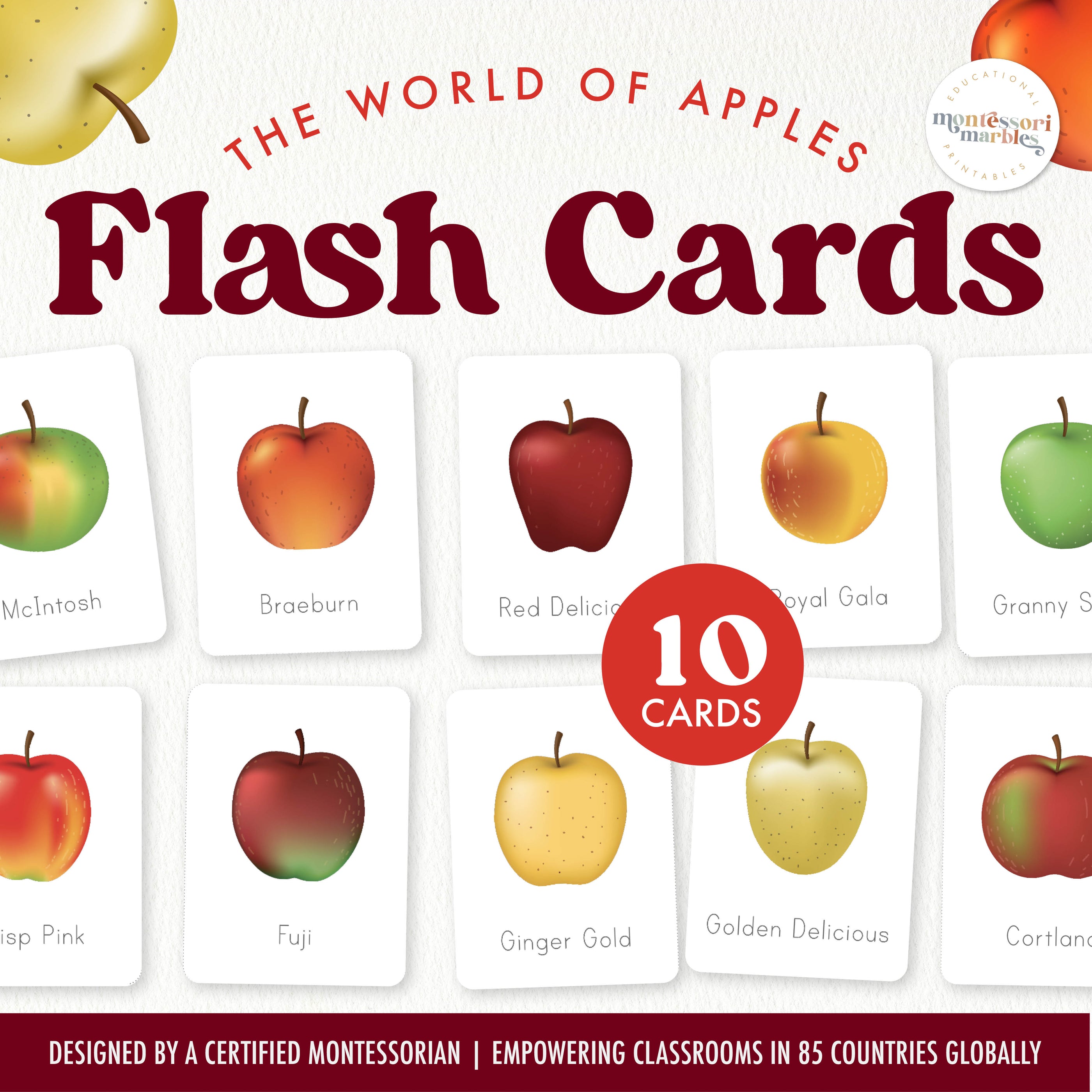 Apple Varieties Flash Cards | 10 Types Fruit Identification Ages 4-8 ...