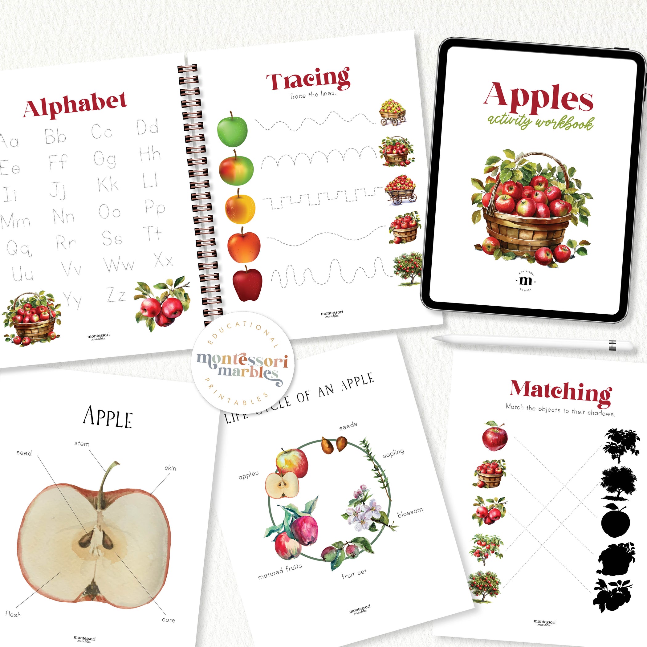 Apple Activity Workbook | Preschool Fall Worksheets Ages 3-6 ...