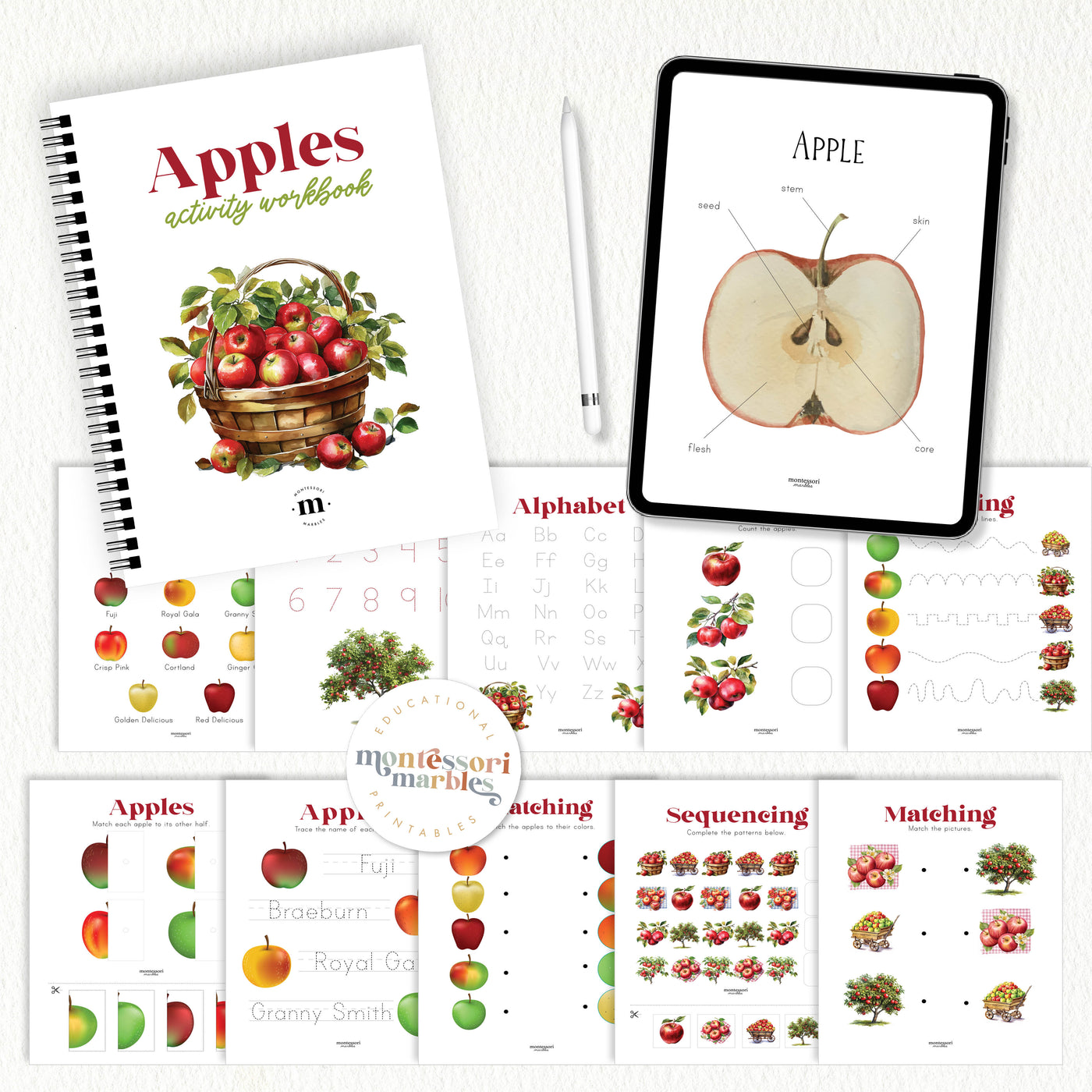 Apple Activity Workbook | Preschool Fall Worksheets Ages 3-6 ...