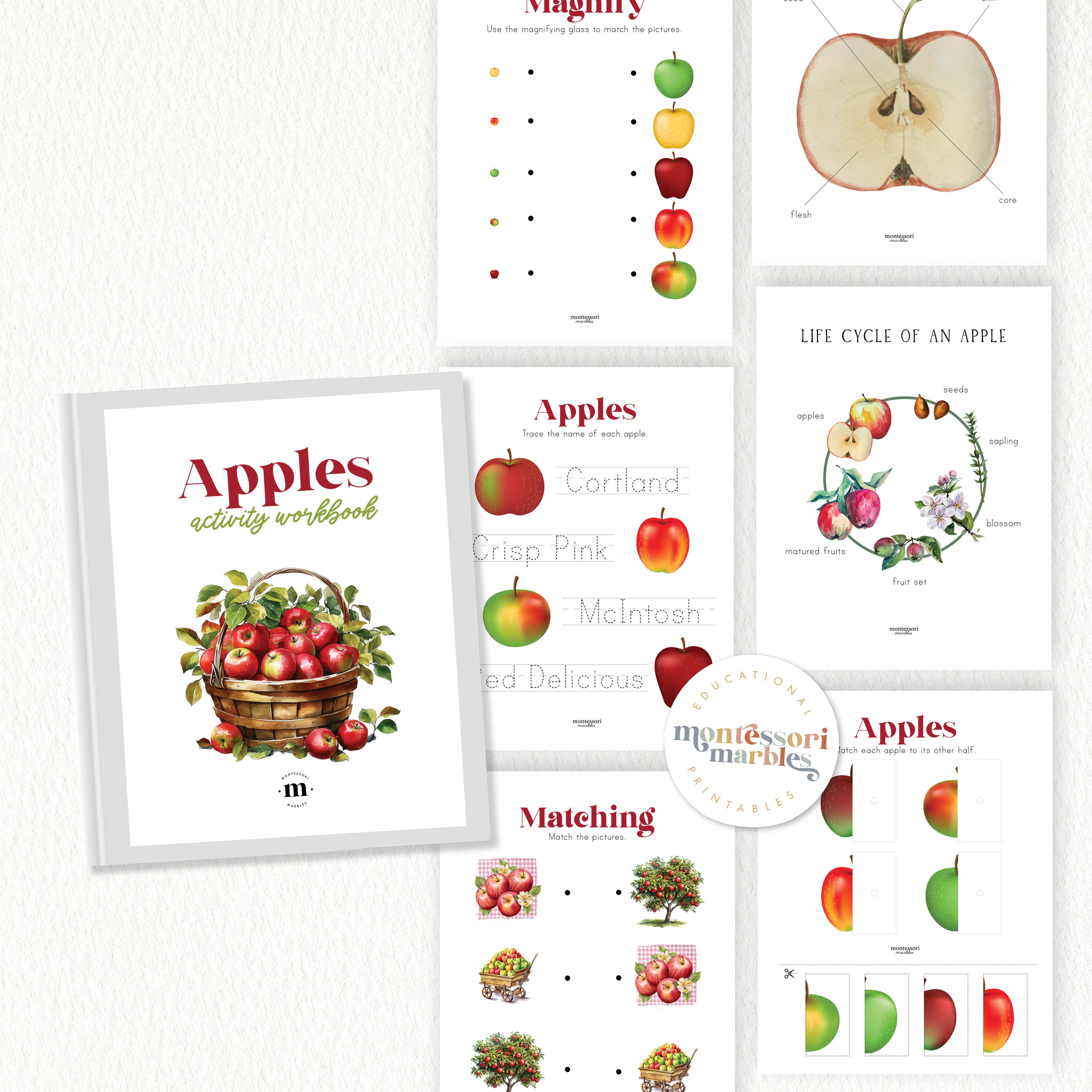 Apple Activity Workbook | Preschool Fall Worksheets Ages 3-6 ...