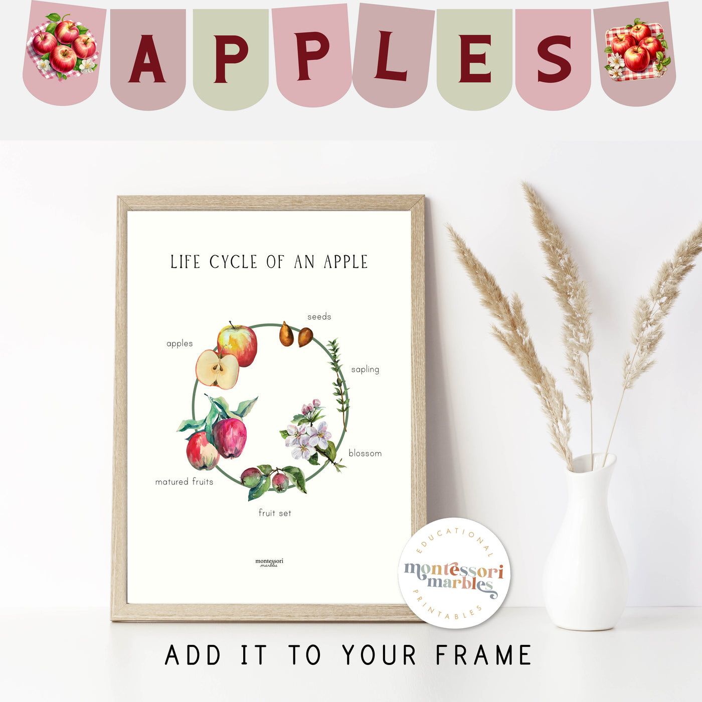 Apple Activity Workbook | Preschool Fall Worksheets Ages 3-6 ...