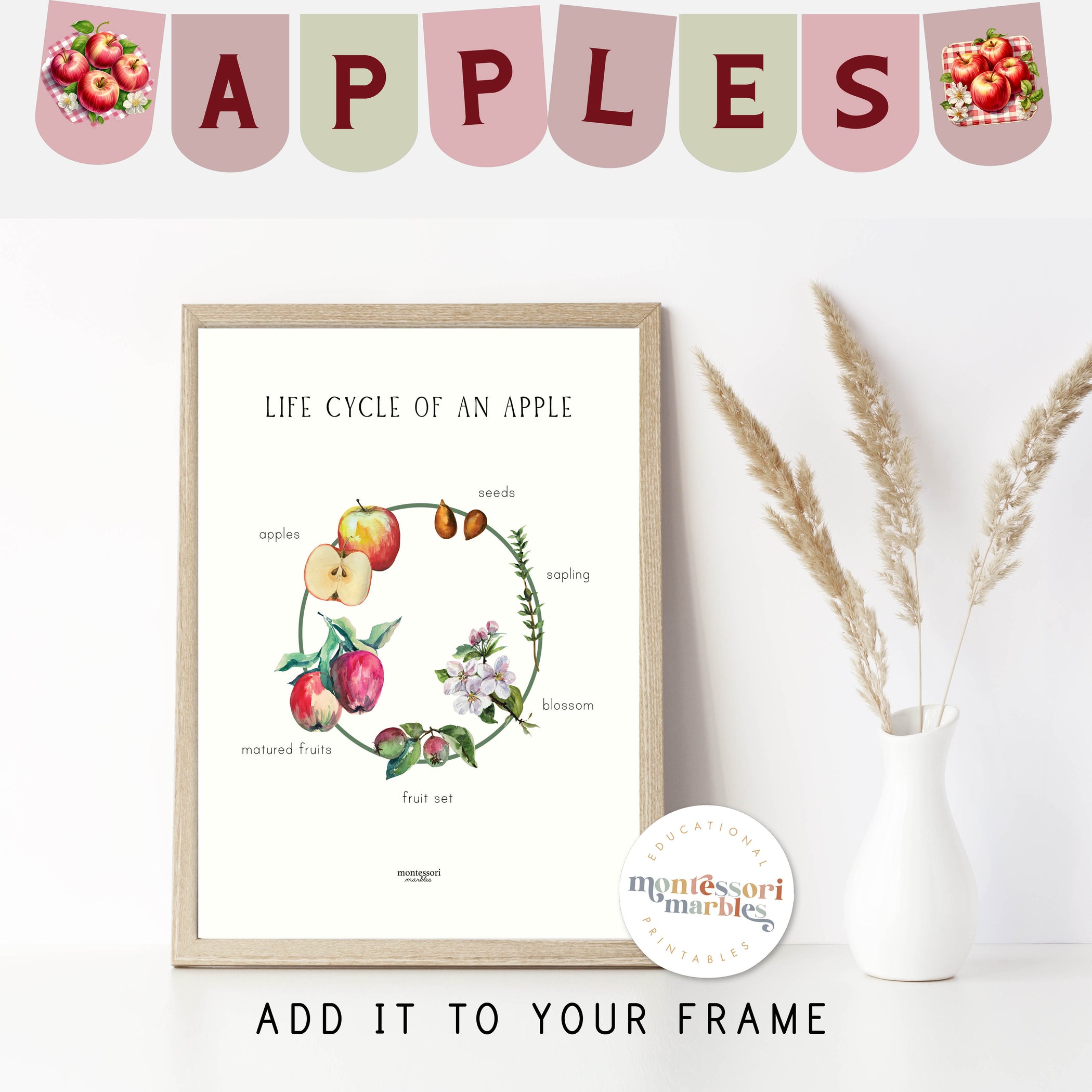 Apple Activity Workbook | Preschool Fall Worksheets Ages 3-6 ...