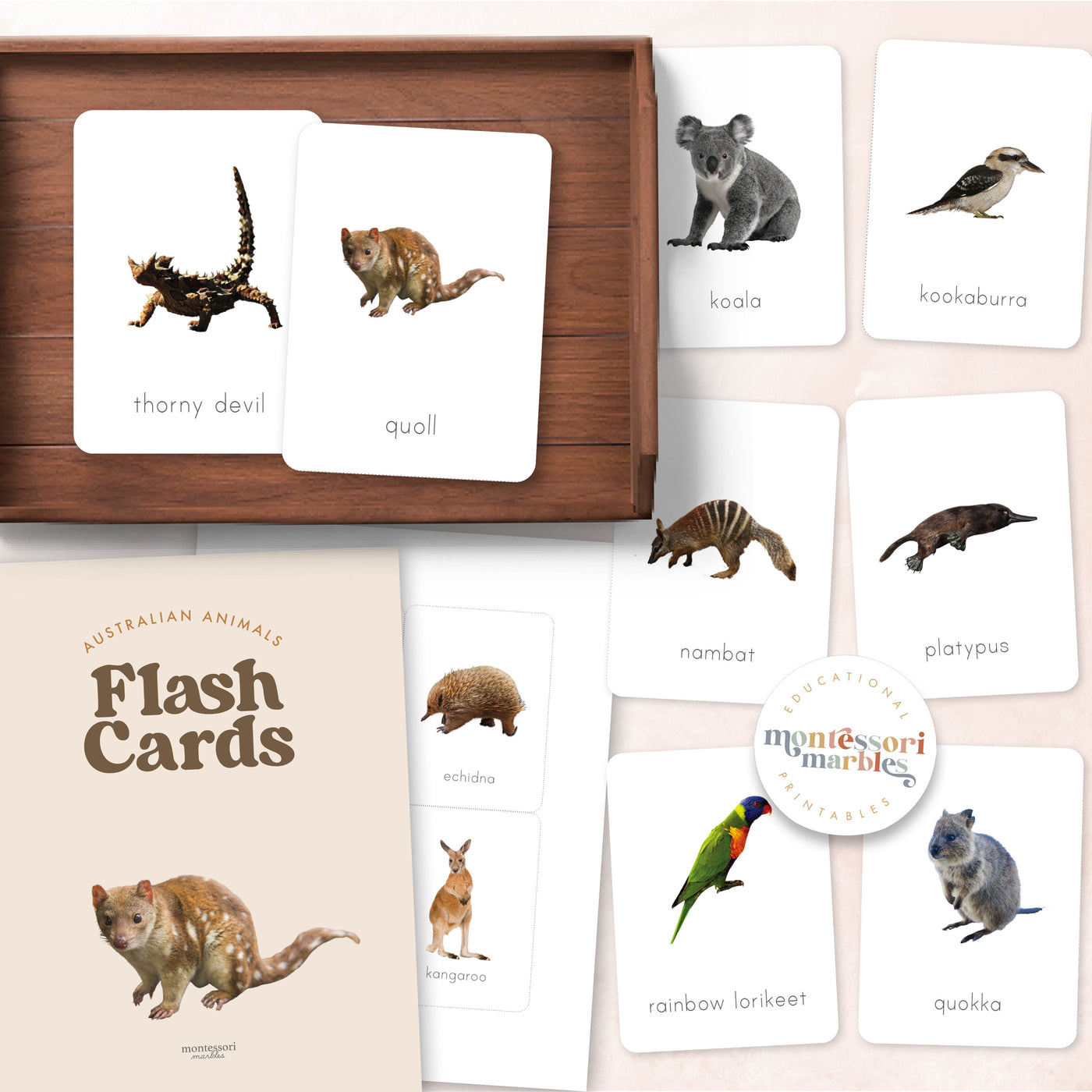 Australian Animals Flash Cards | Oceania Wildlife Ages 4-7 10 Cards ...