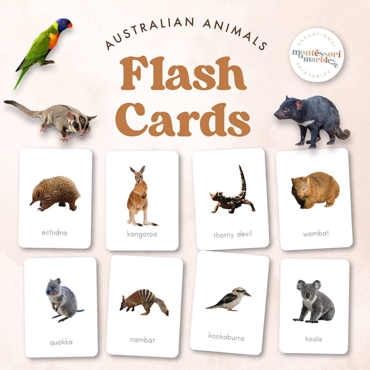 Australian Animals Flash Cards | Oceania Wildlife Ages 4-7 10 Cards ...
