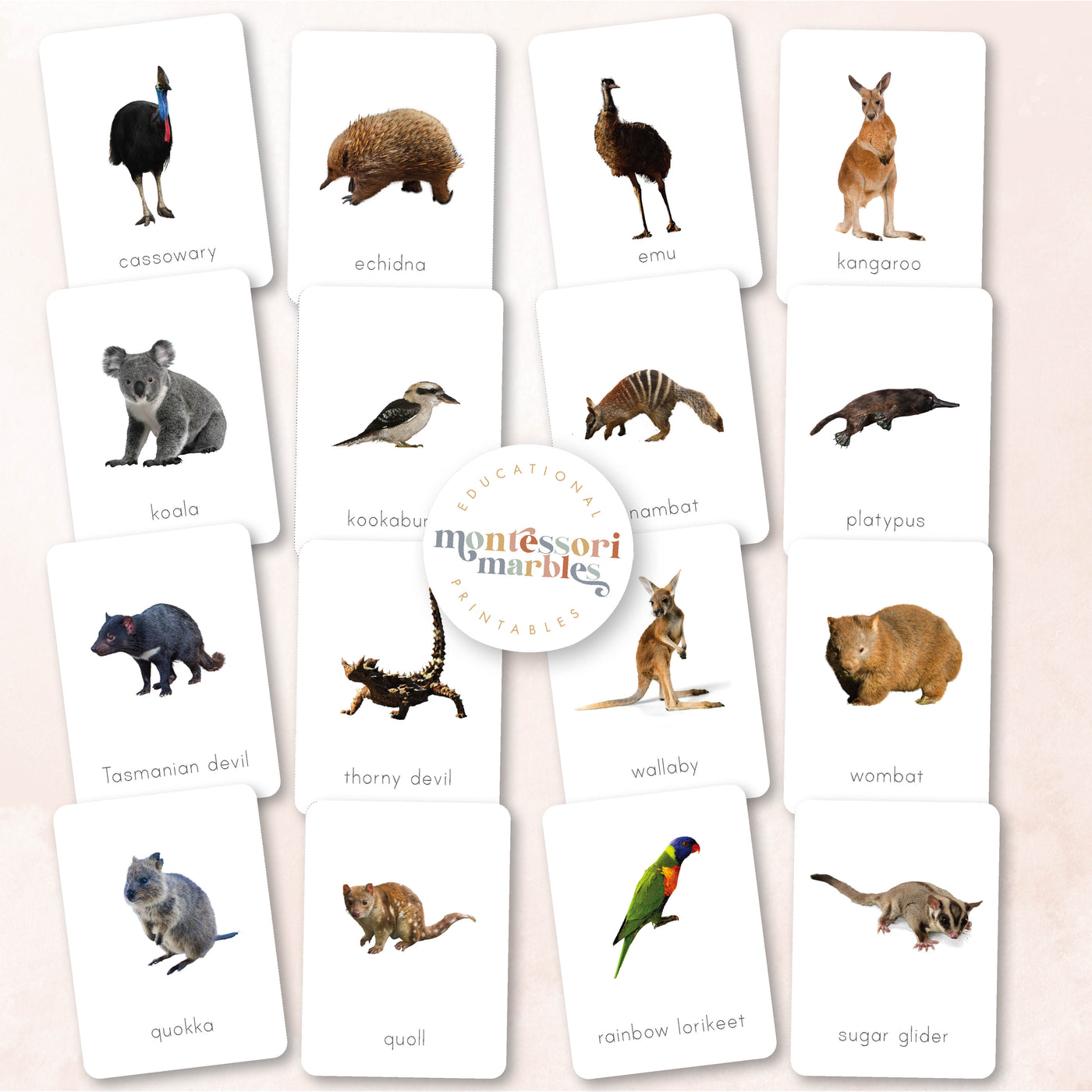 Australian Animals Nomenclature Cards | Oceania Wildlife Ages 4-8 PDF ...