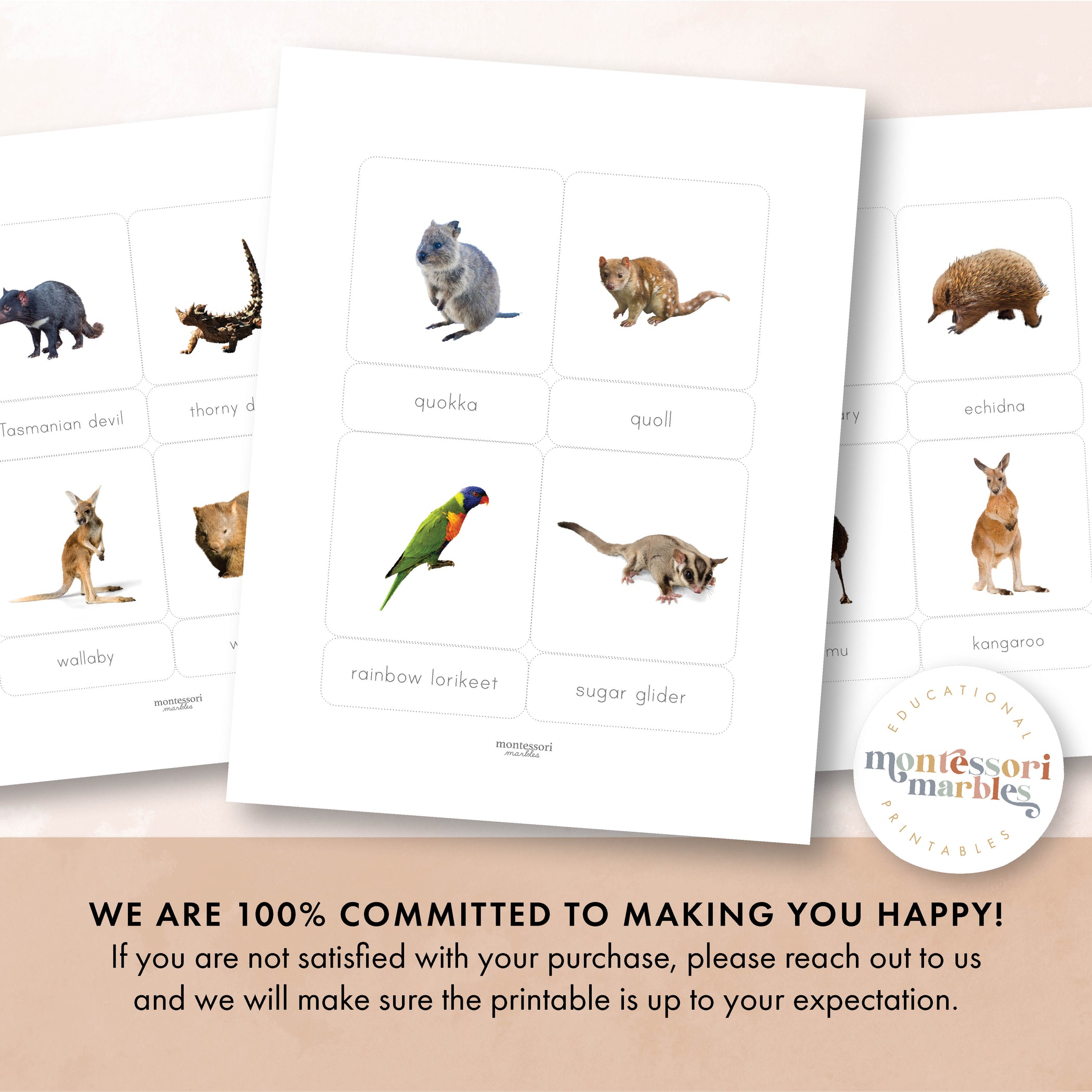 Australian Animals Nomenclature Cards — Montessori Marbles