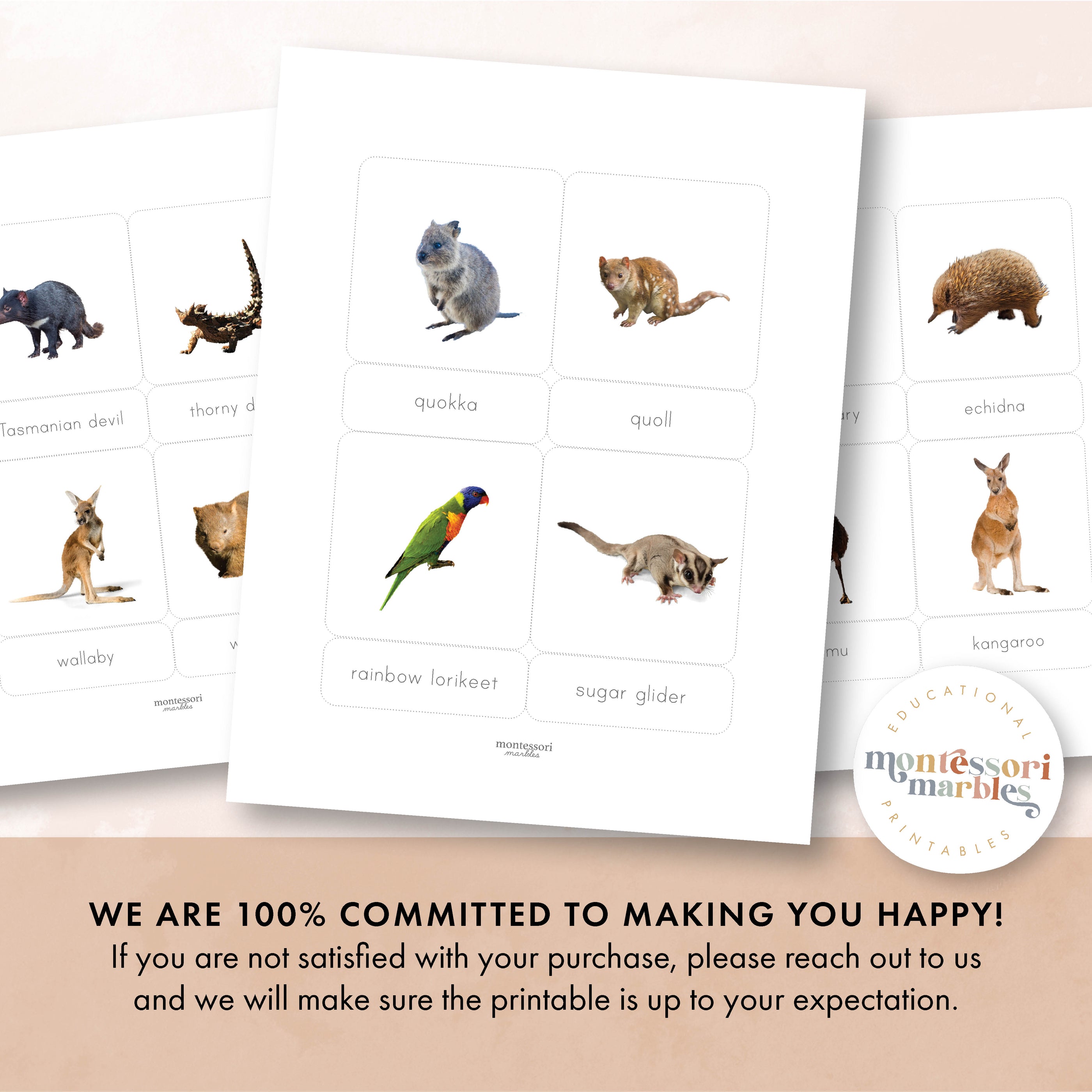 Australian Animals Nomenclature Cards — Montessori Marbles