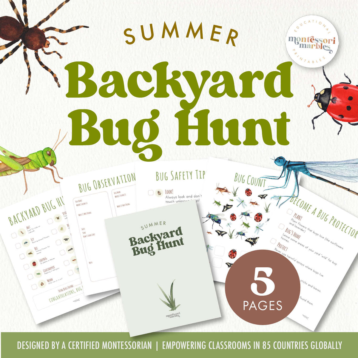 Summer Backyard Bug Hunt — Montessori Marbles