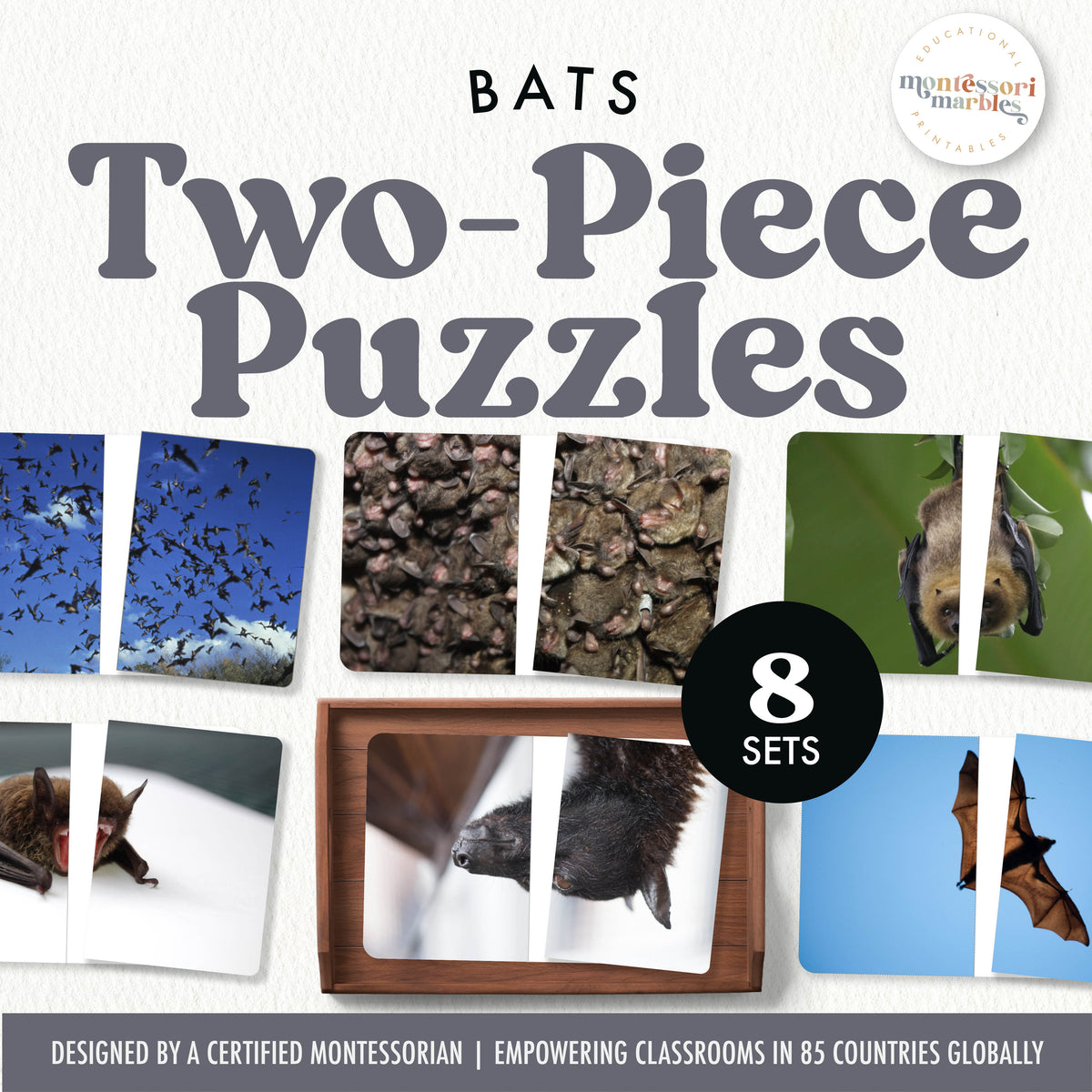 Bats Complete Pictures | Nocturnal Animals Matching Ages 3-6 Halloween ...