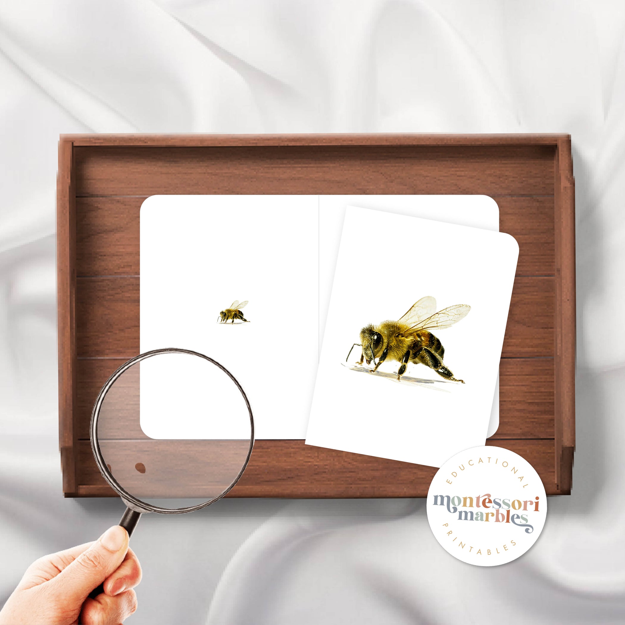 Bee Honey Activity Bundle | 10 Printables Insect Study Ages 3-6 PDF ...