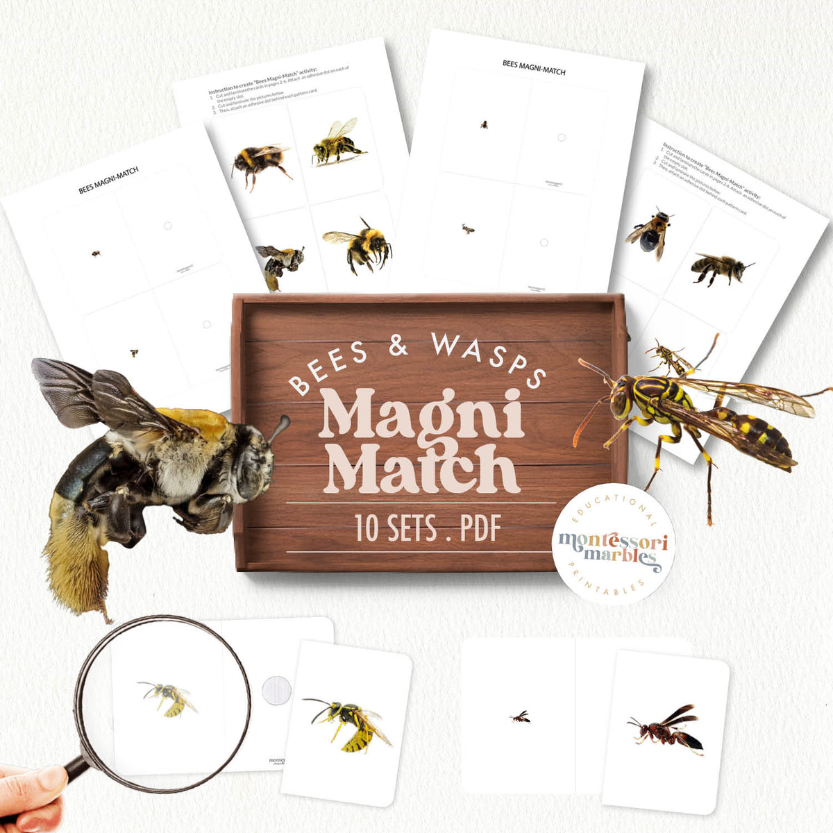 Bee Magni Match | Magnifying Glass Activity Ages 3-6 Spring Insects ...
