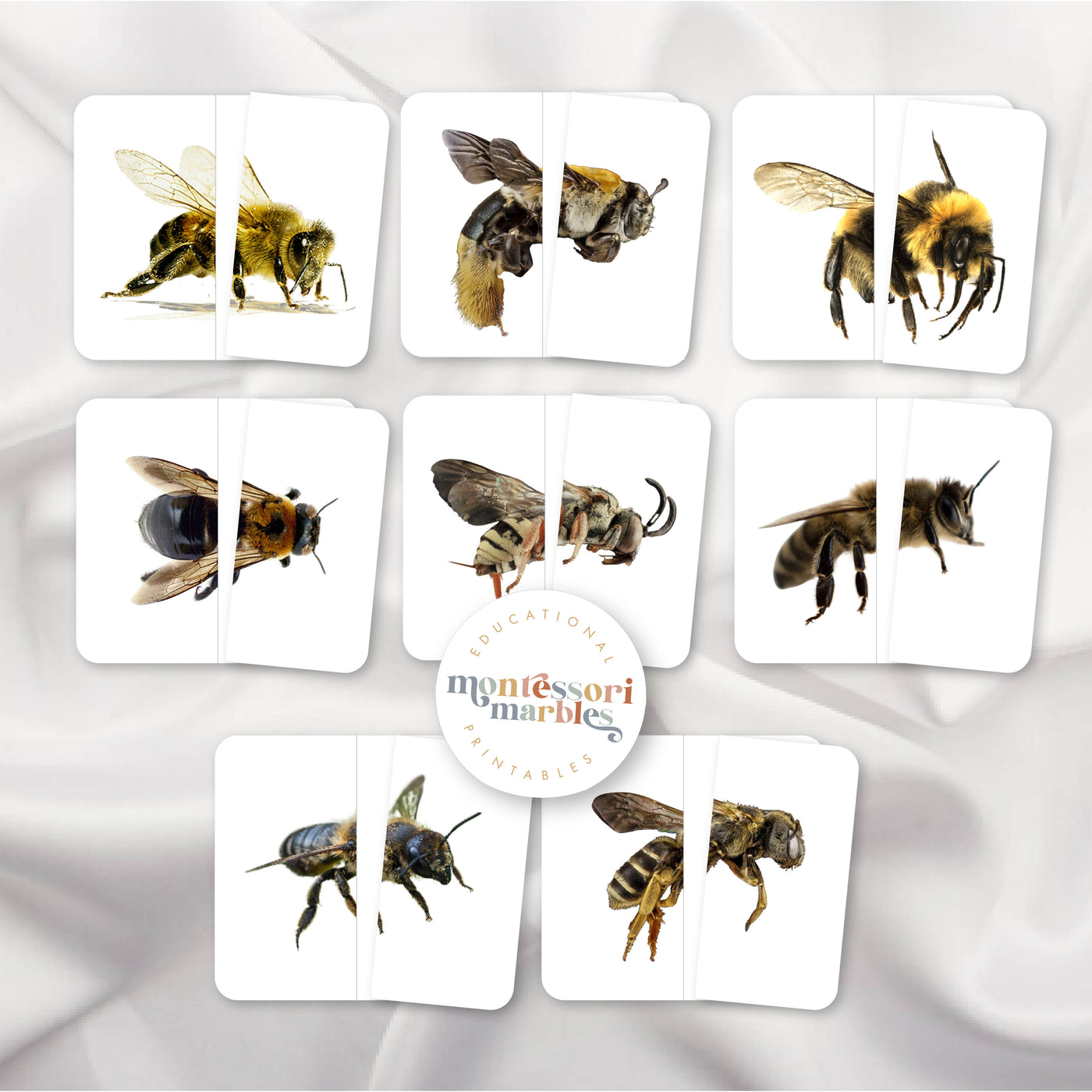 Bee Honey Activity Bundle | 10 Printables Insect Study Ages 3-6 PDF ...