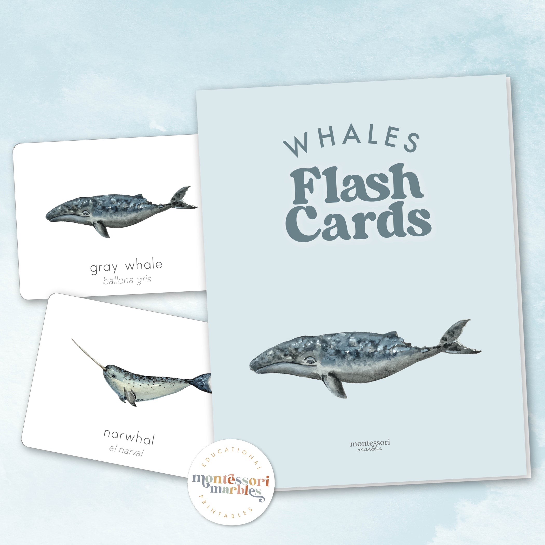 Whales Flash Cards Bilingual | English Spanish 8 Species Ages 3-8 Ocean ...