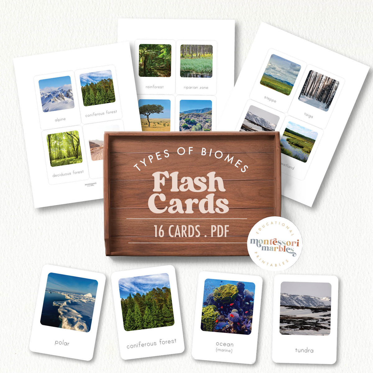Biome Flash Cards 16 Ecosystems Environmental Science Ages 6 9