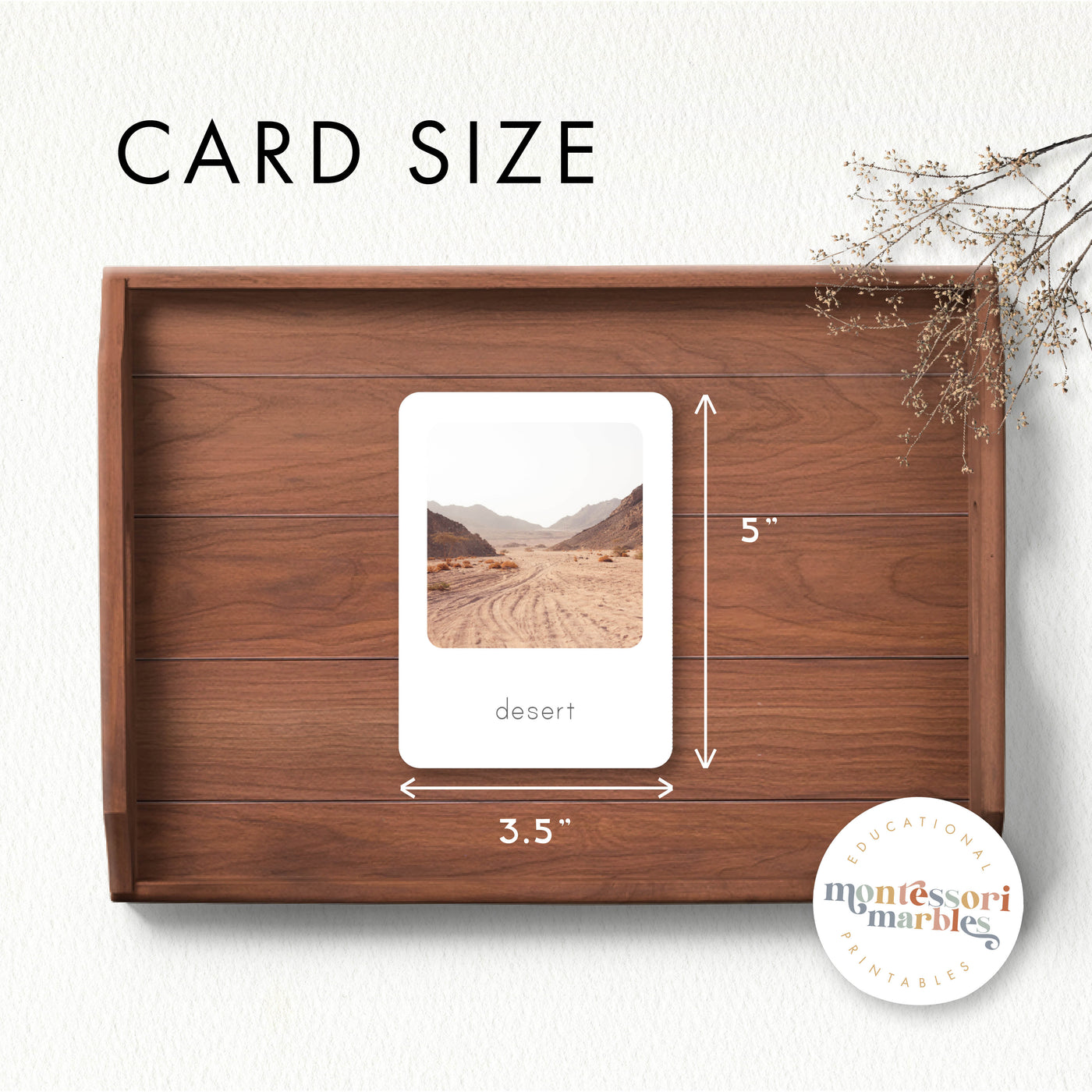 Biomes Nomenclature Cards — Montessori Marbles