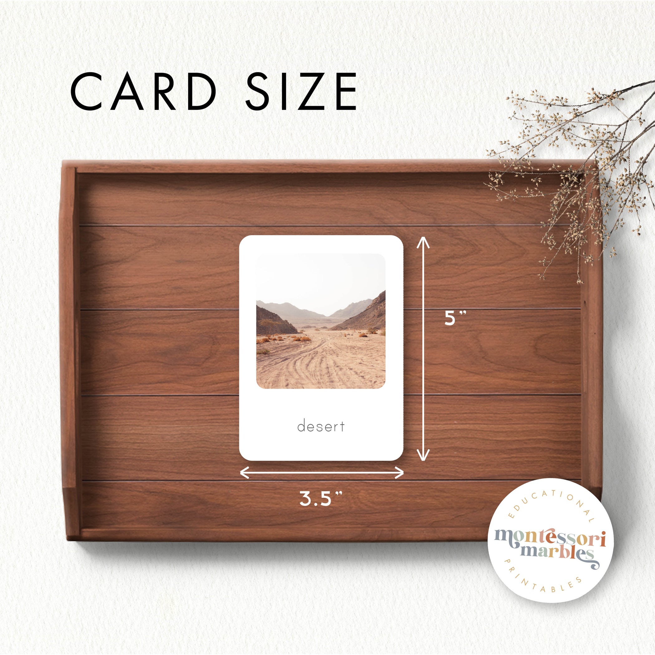 Biomes Nomenclature Cards — Montessori Marbles