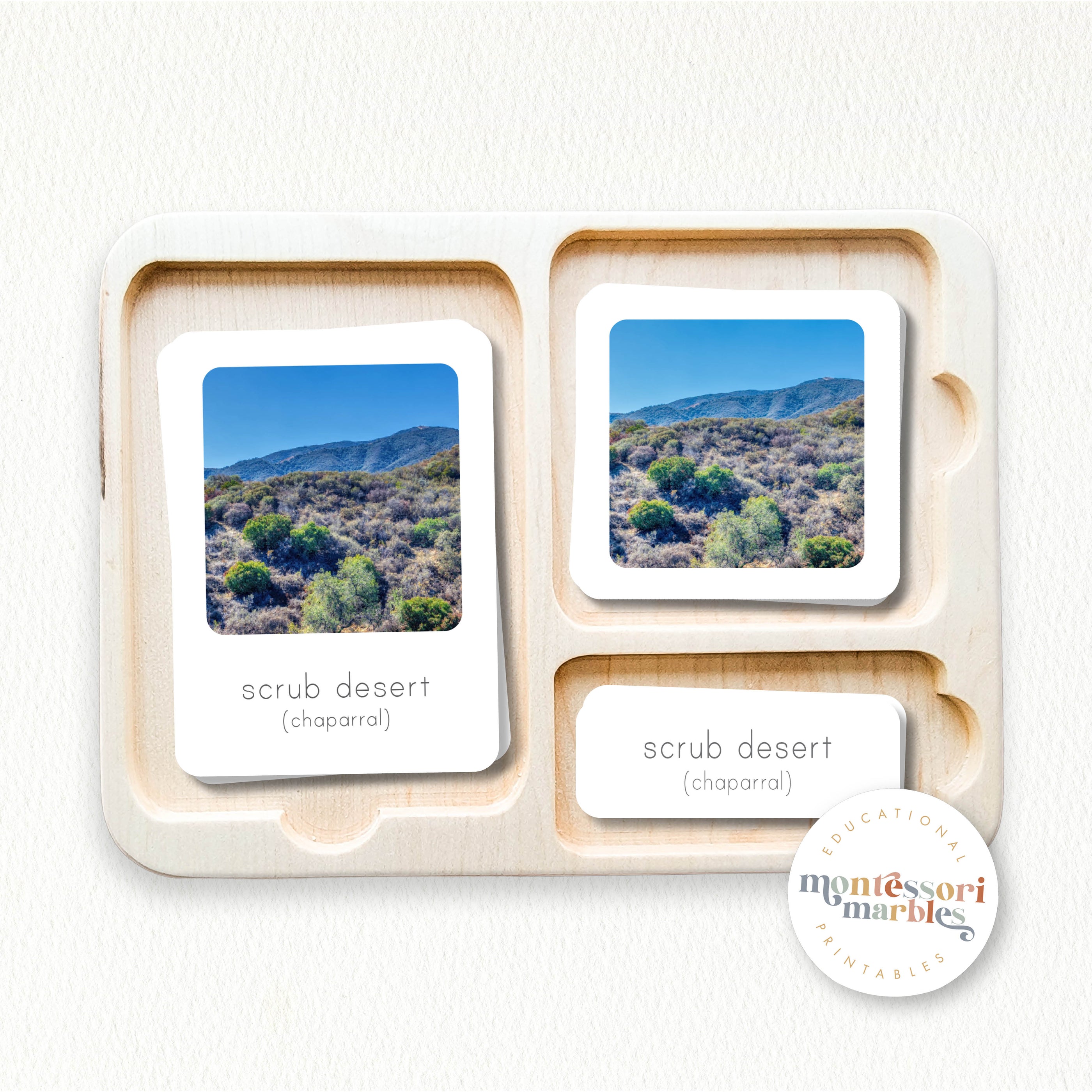 Biome Nomenclature Cards | 16 Sets Ecosystems Geography Ages 6-9 ...